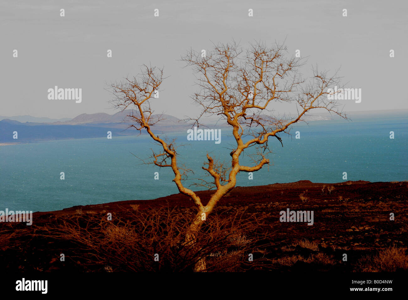 Lake turkana kenya hi-res stock photography and images - Alamy