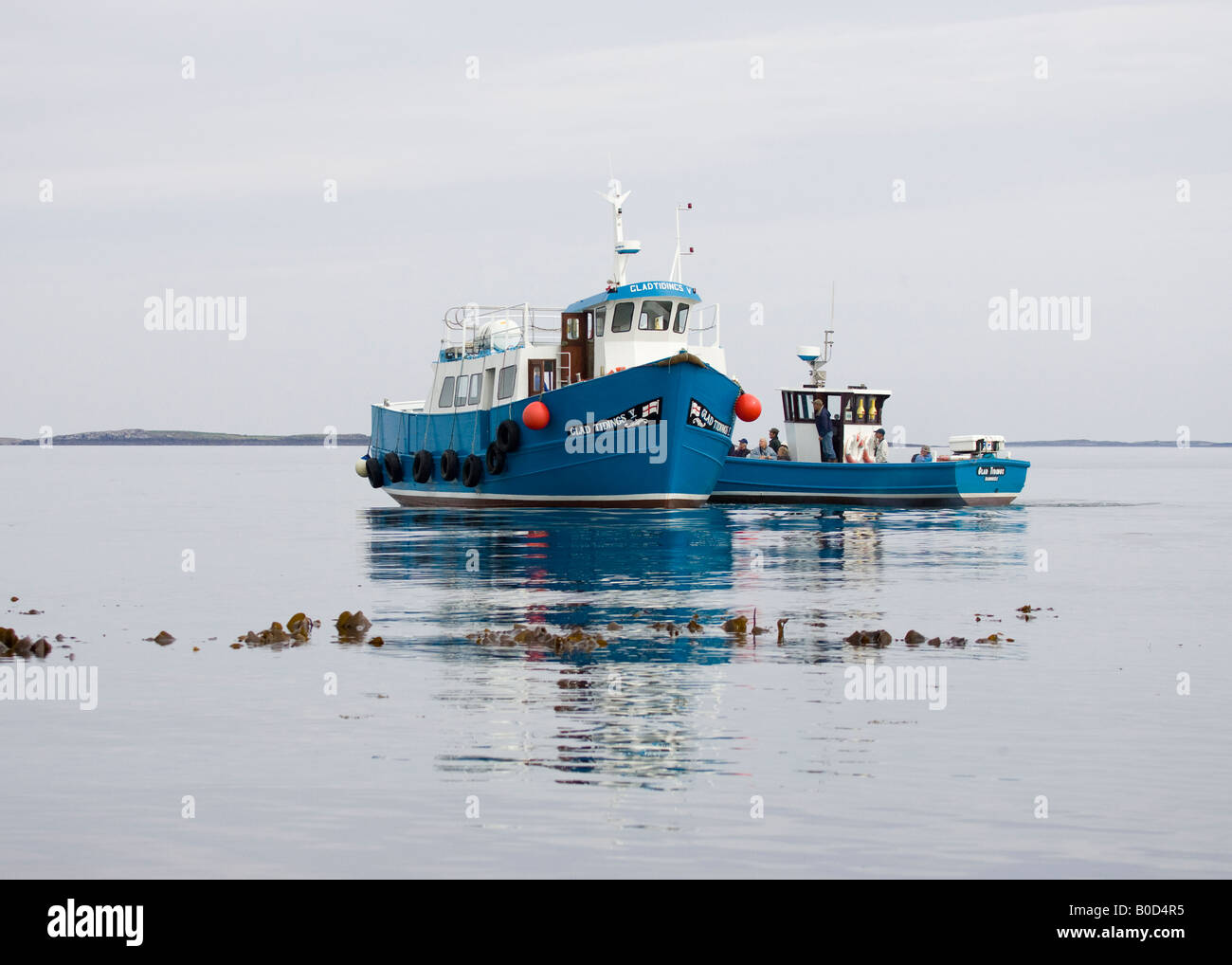 Glad tidings hi-res stock photography and images - Alamy