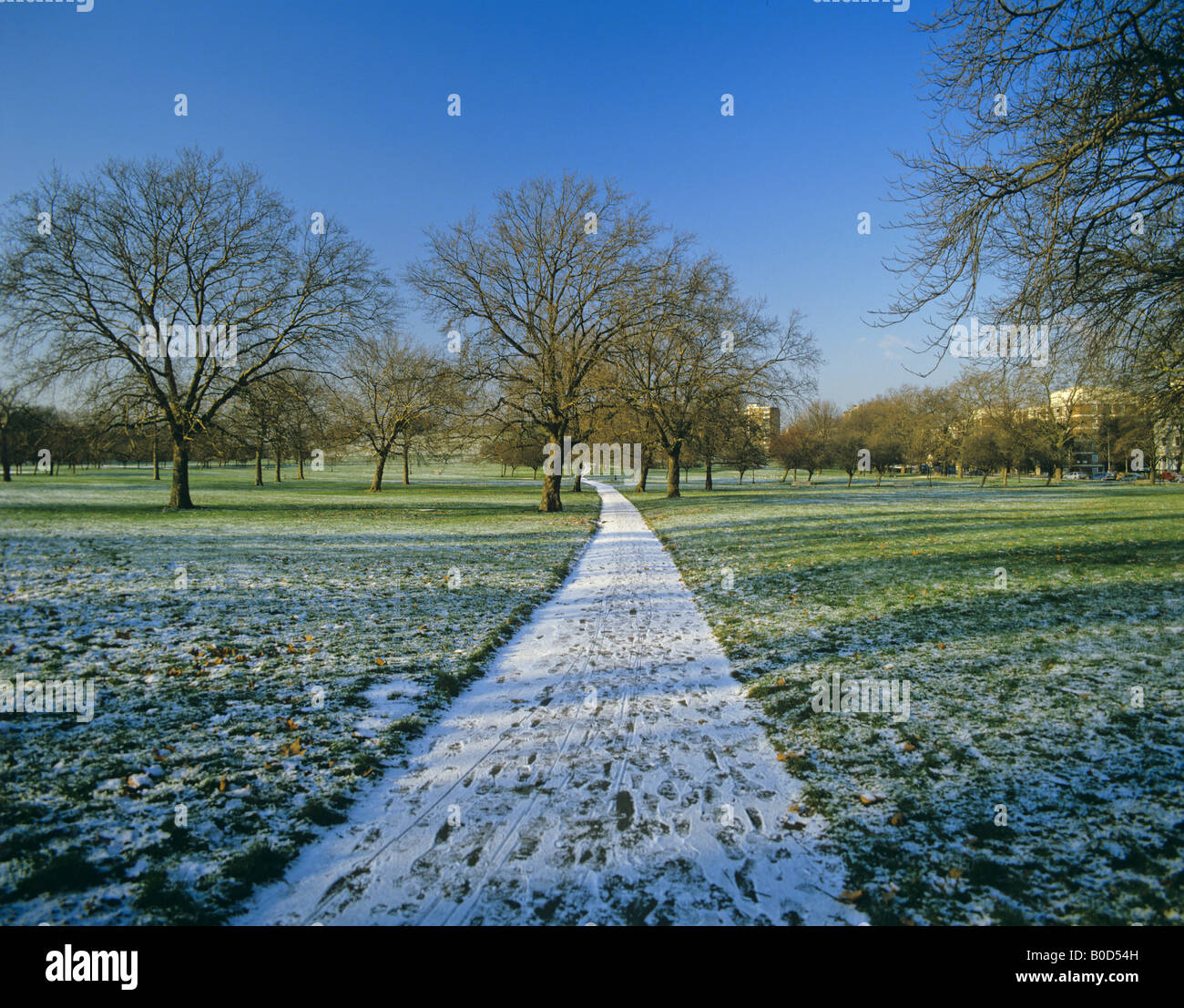 A Snowy Winter day Primrose Hill London England UK Stock Photo - Alamy
