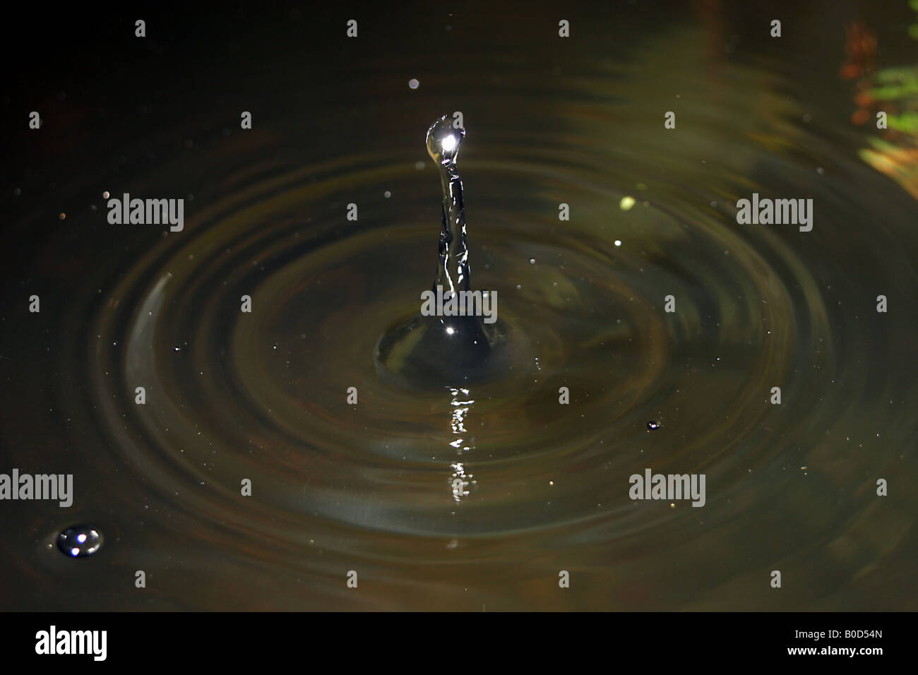 Concentric circles in nature hi-res stock photography and images - Alamy