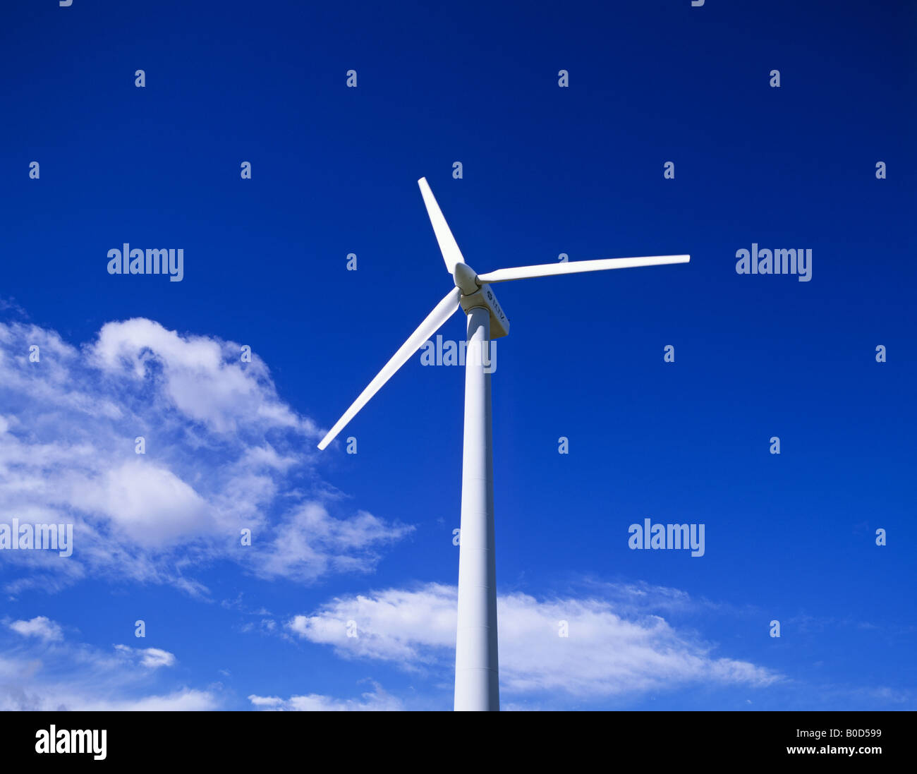 Wind turbine Wellington New Zealand Stock Photo - Alamy