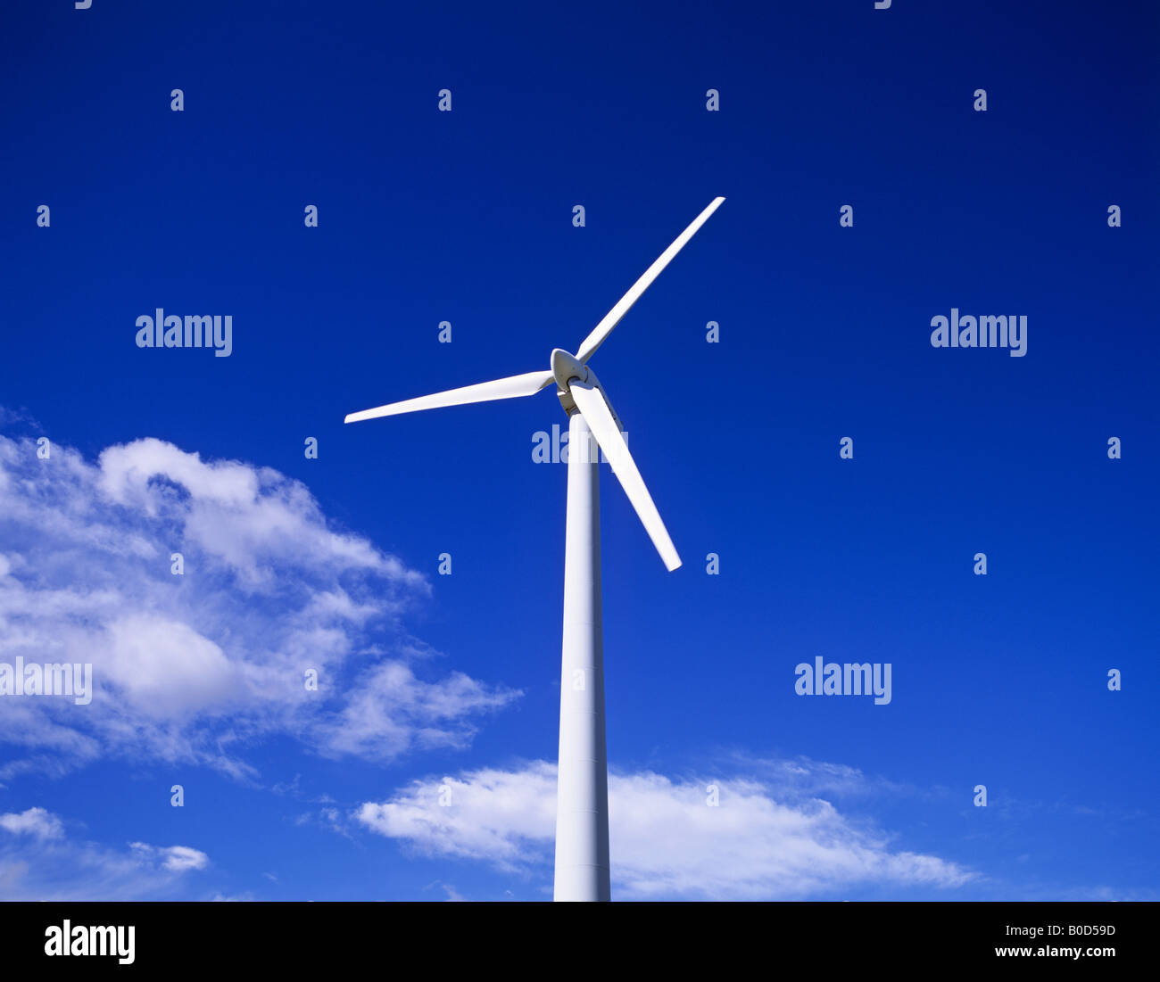 Wind turbine Wellington New Zealand Stock Photo - Alamy