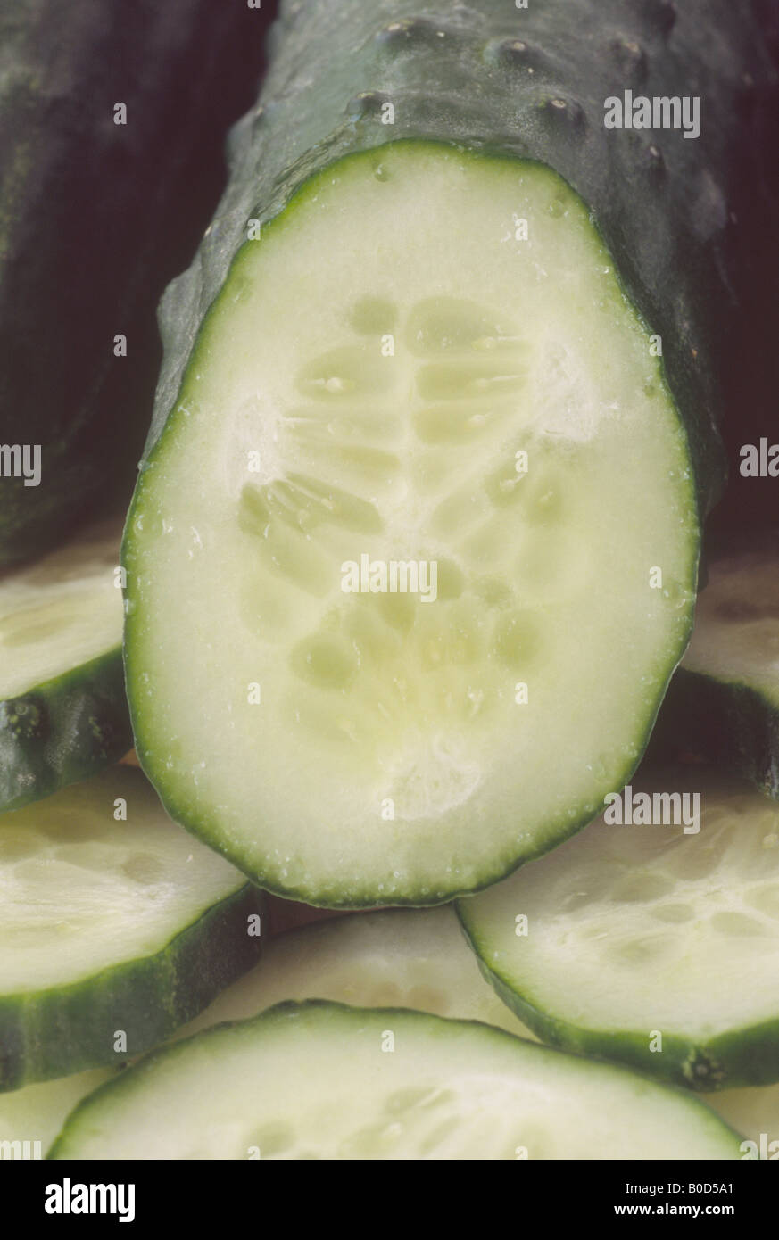 Cucumis sativus 'Swing' (Cucumber) Close up of sliced cucumber Stock ...