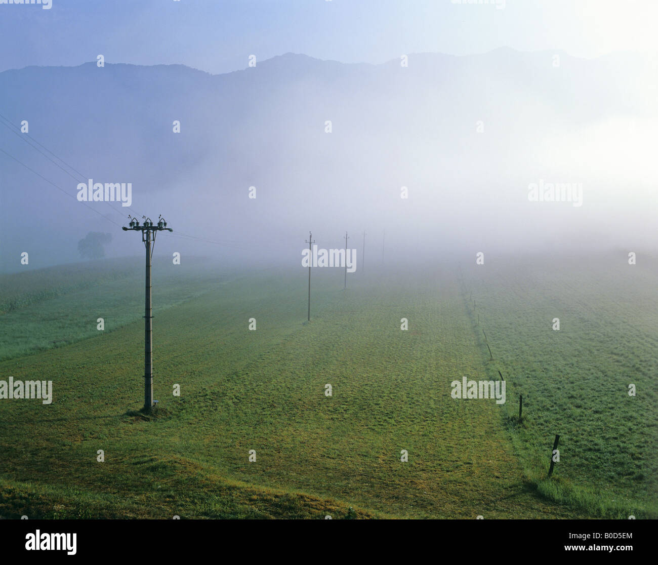 Foggy countryside scene Southern France Stock Photo - Alamy