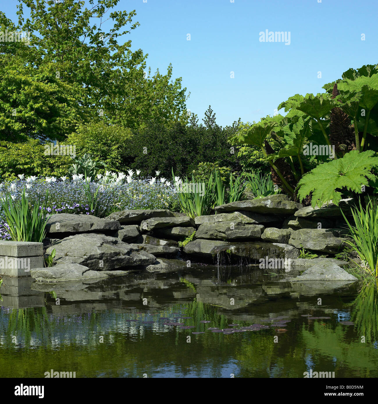 Melissa lake hi-res stock photography and images - Alamy