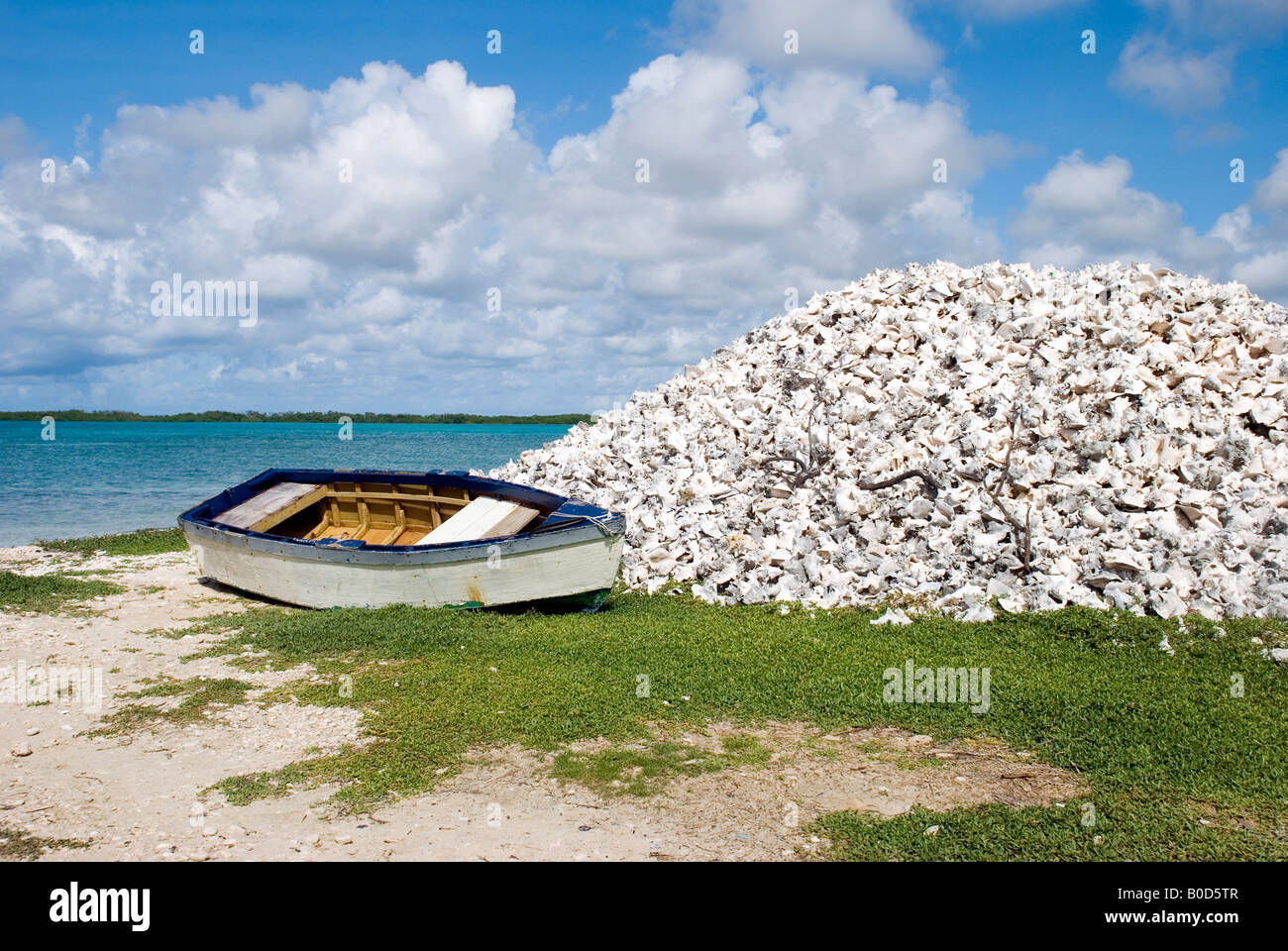 Bonaire mangroves hi-res stock photography and images - Alamy