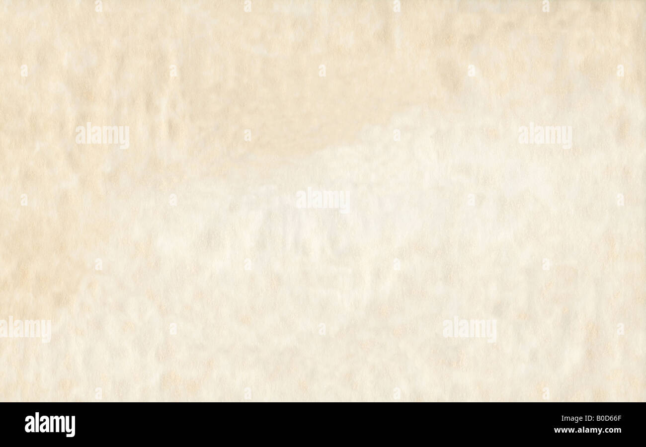 Hi res scan of an old sheet of genuine parchment paper Stock Photo - Alamy