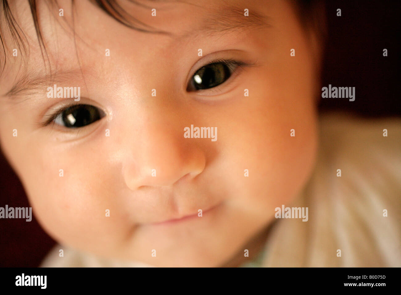 Two month old baby girl Stock Photo - Alamy
