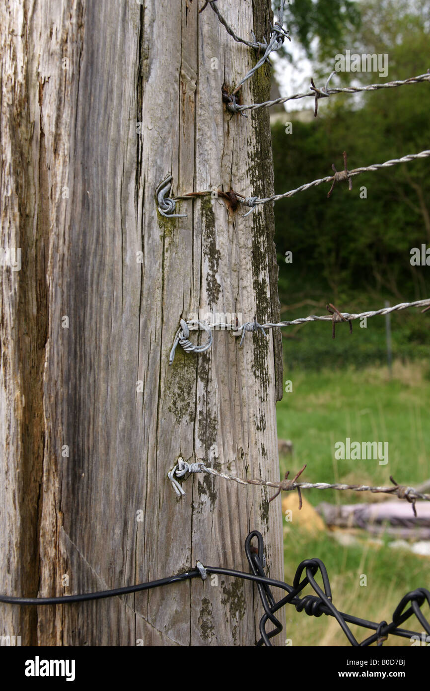 Barbed wire Post Stock Photo - Alamy