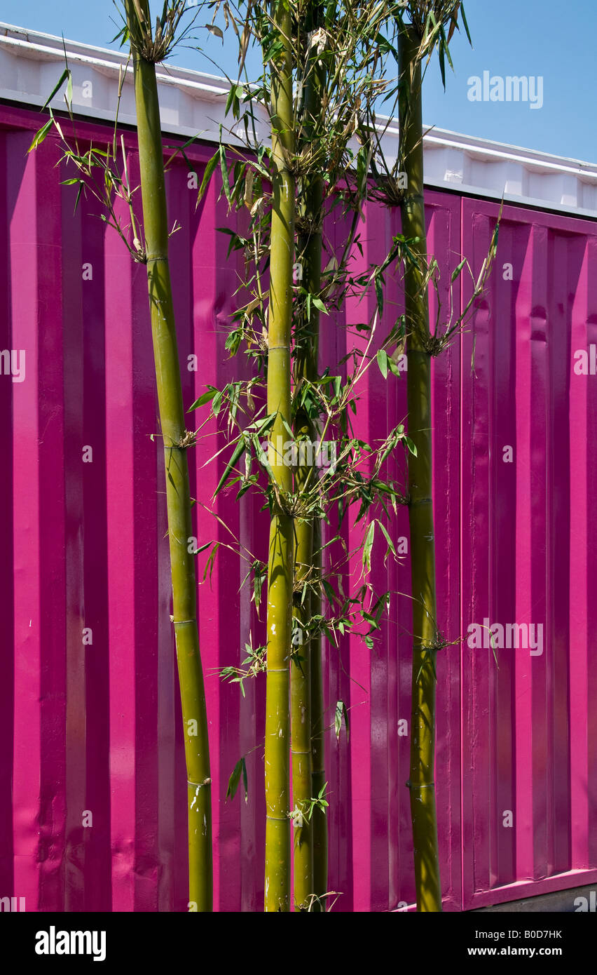 Bright pink containers mexico hi-res stock photography and images - Alamy