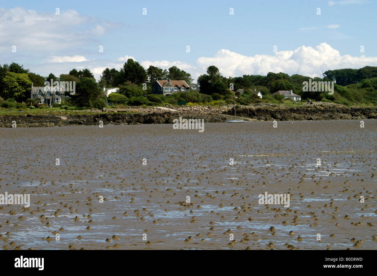 Rockcliffe kirkcudbrightshire hi-res stock photography and images - Alamy