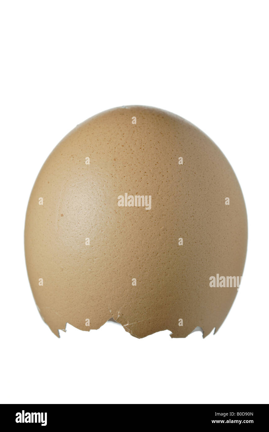 Empty broken egg shell Cut Out Stock Images & Pictures - Alamy
