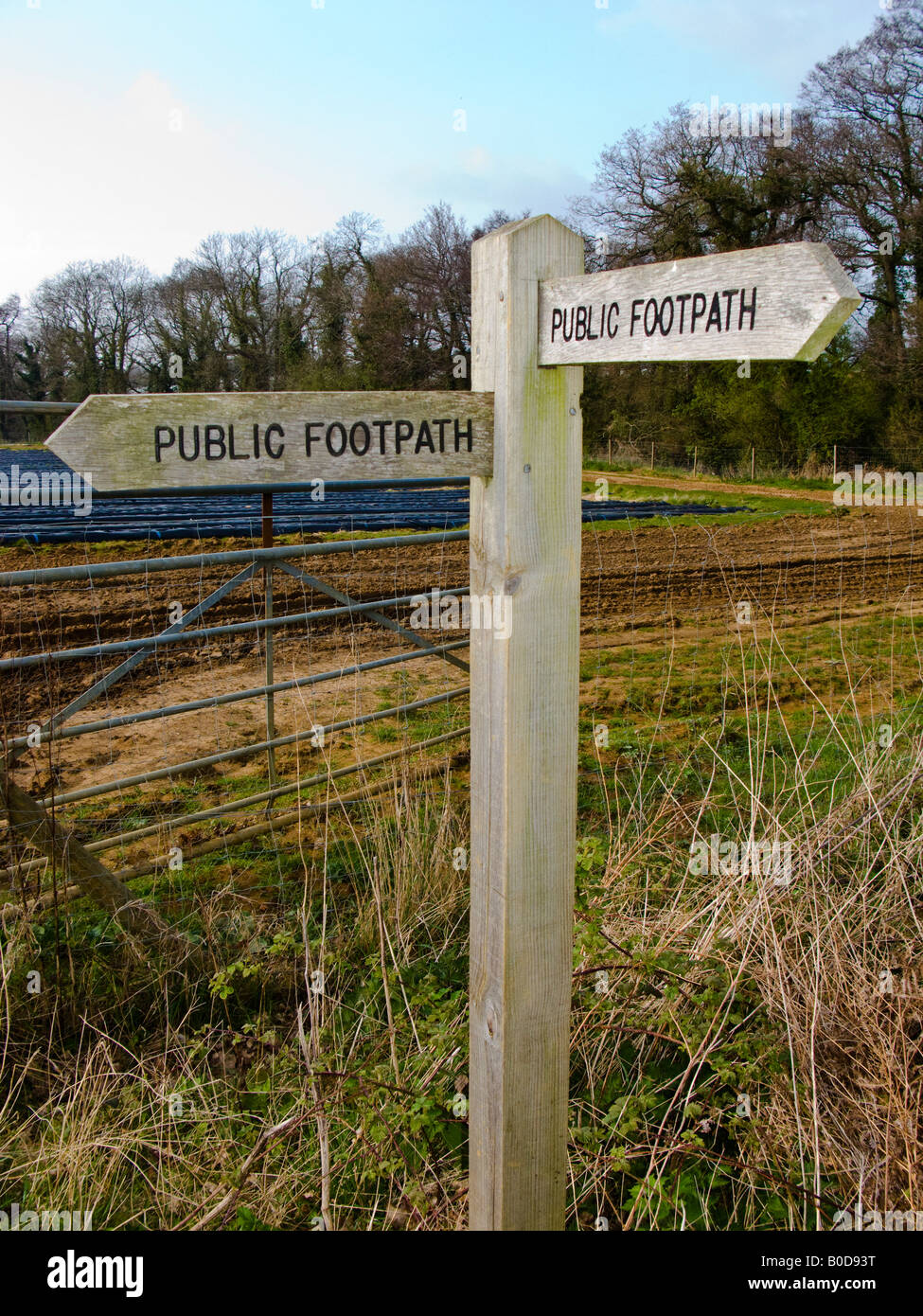 Public footpath sign at Milford Surrey UK Stock Photo - Alamy