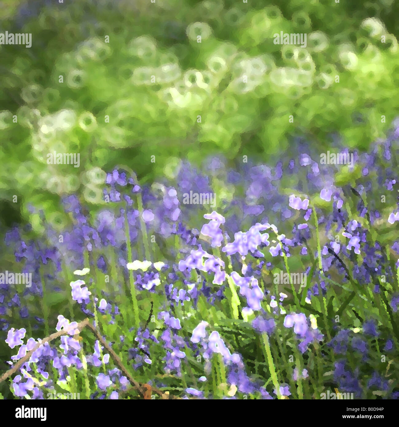 'BLUEBELL FIELD' DIGITAL ARTWORK Stock Photo - Alamy