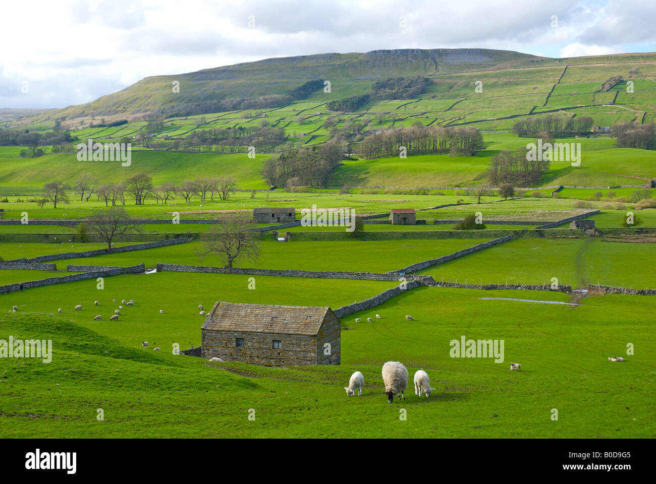Upper Wensleydale near Hawes, North Yorkshire, Yorkshire Dales National ...