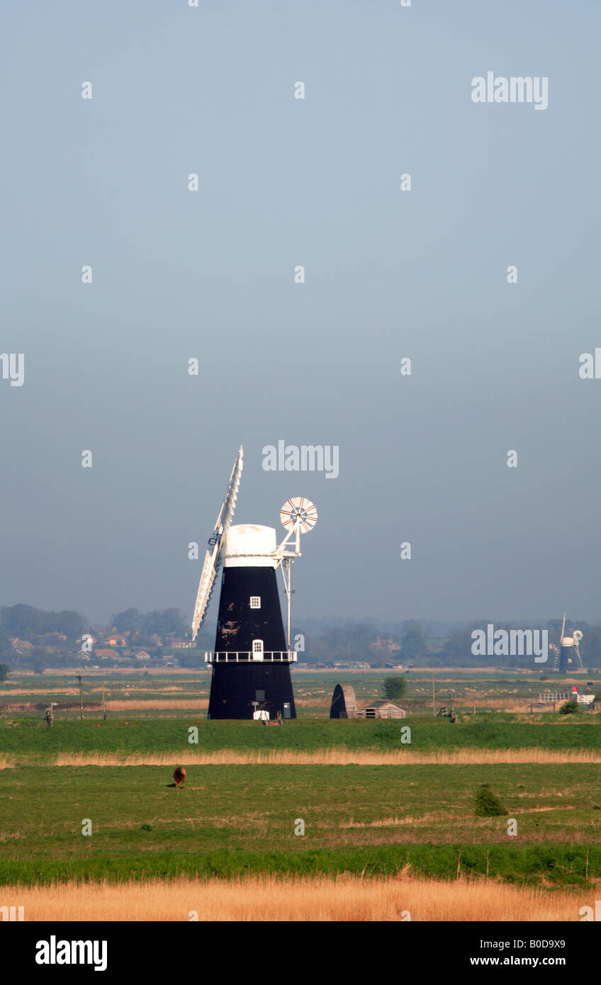 Berney Arms Drainage Mill viewed from Burgh Castle, near Great Yarmouth ...