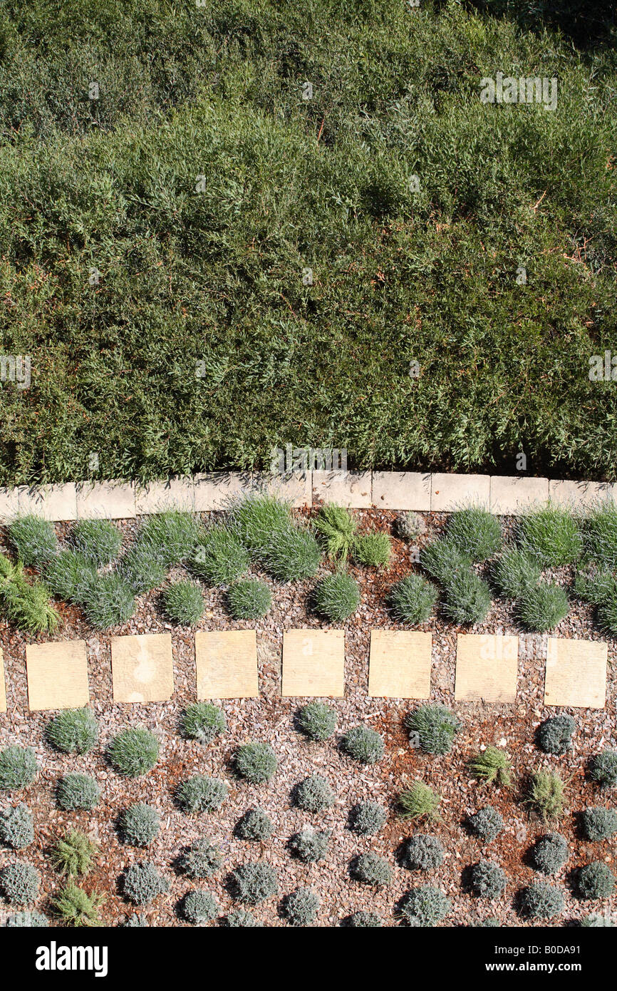 Garden Landscape Pattern Stock Photo - Alamy