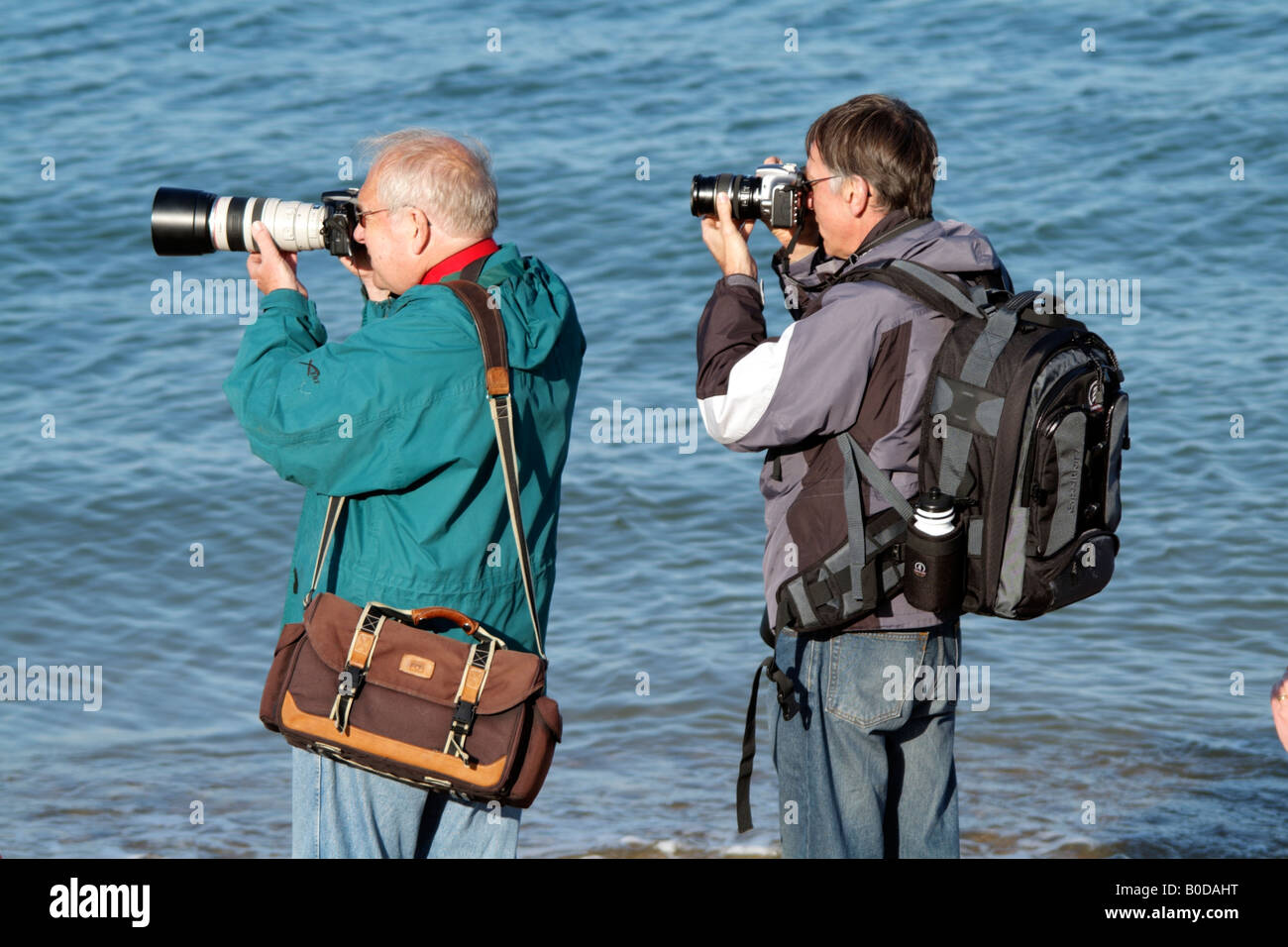 Amateur snapper photographer digital camera High Resolution Stock ...