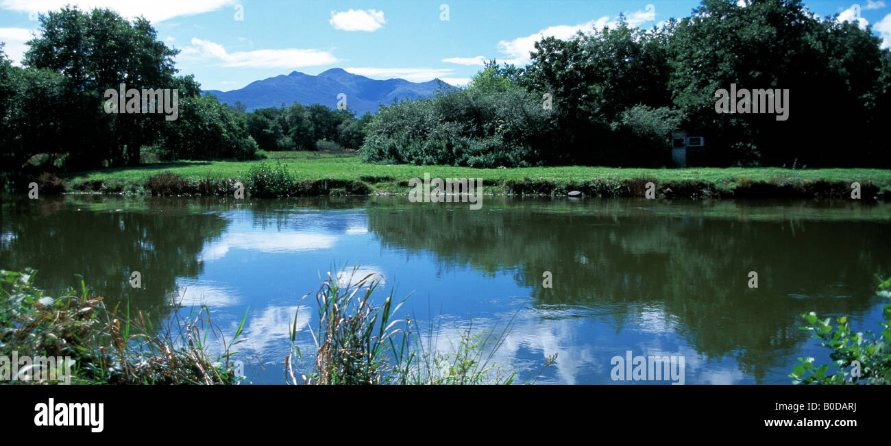 fresh water river Stock Photo - Alamy