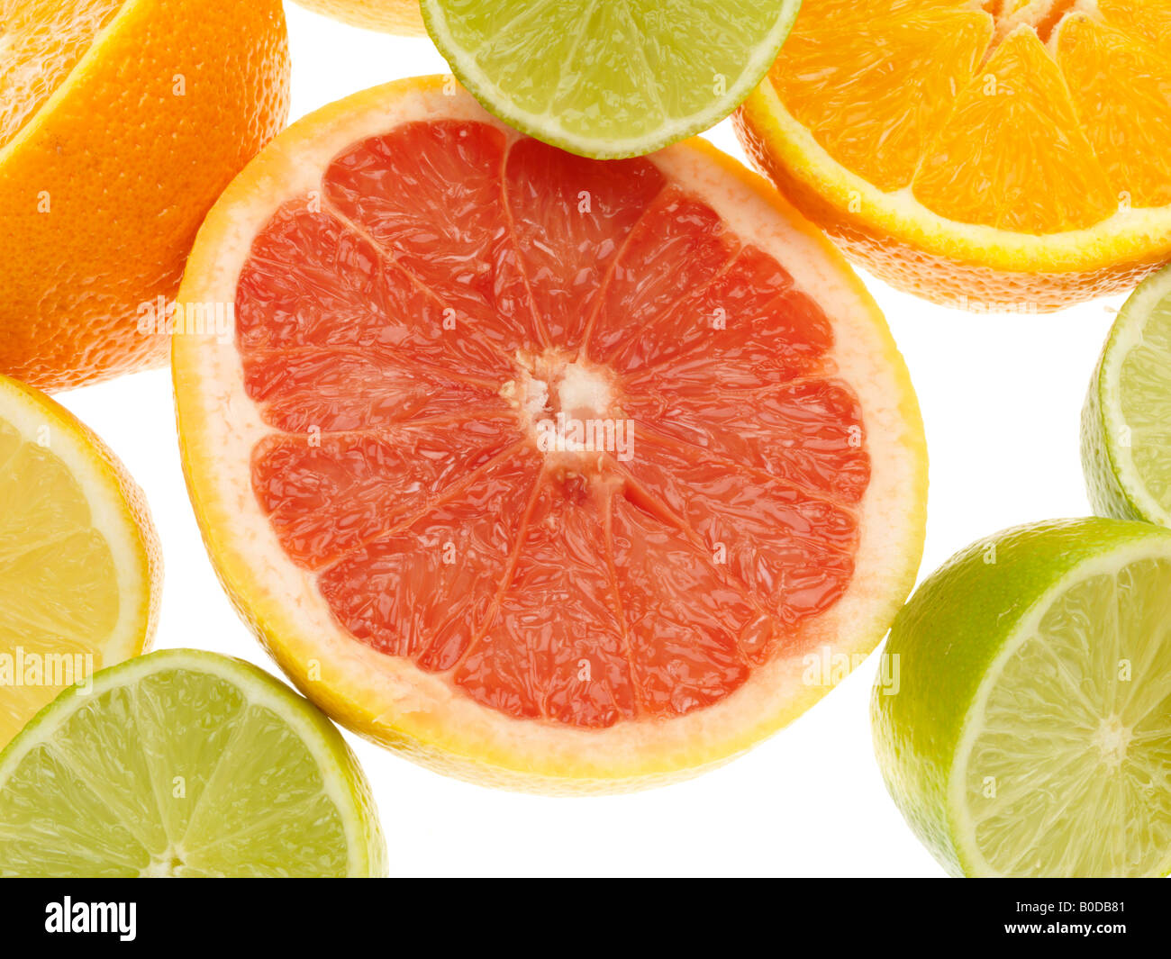 Selection OF Fresh Healthy Ripe Juicy Citrus Fruits Including Pink ...