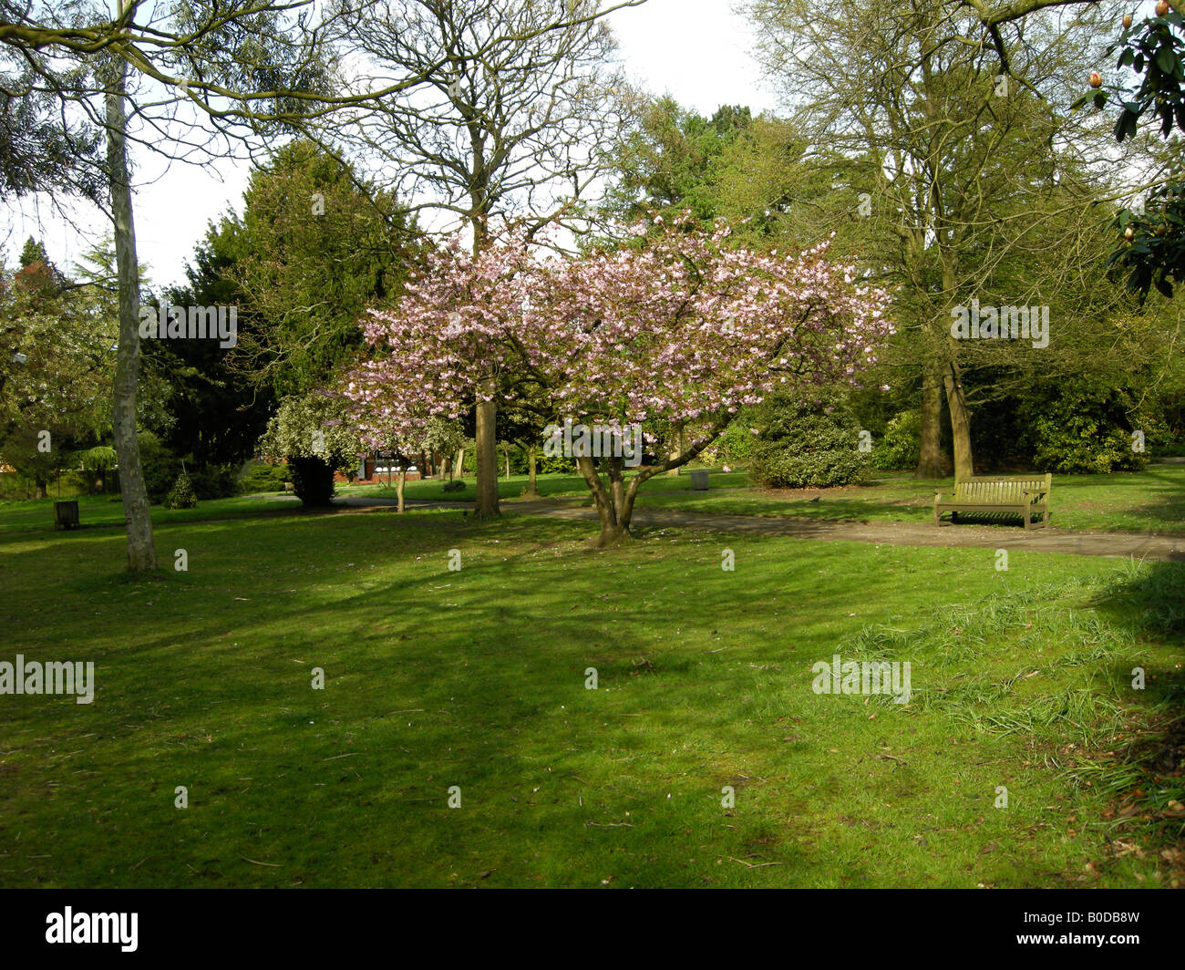 Marie Louise Gardens in Spring Stock Photo - Alamy