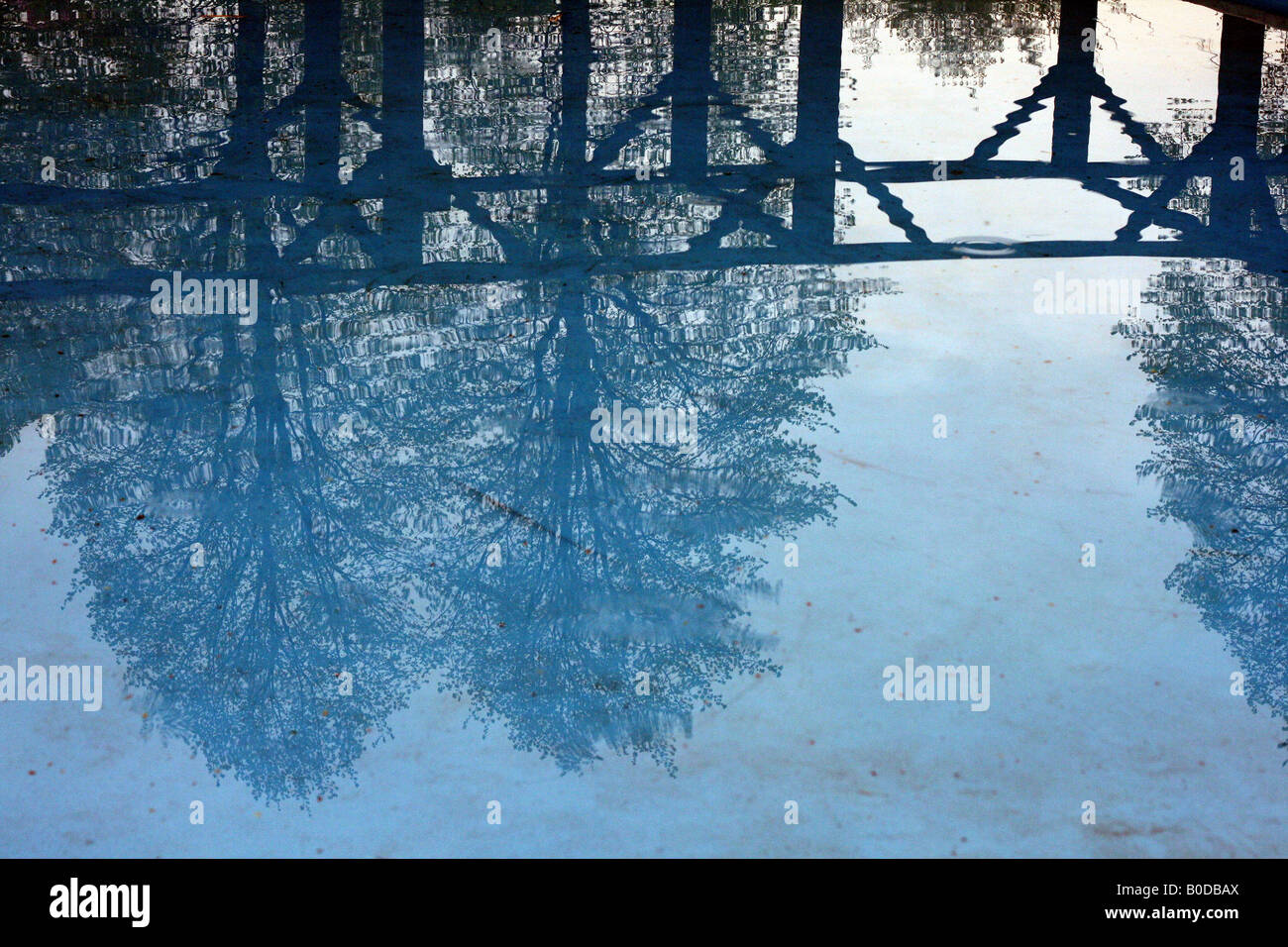 Reflection of trees in water Stock Photo - Alamy