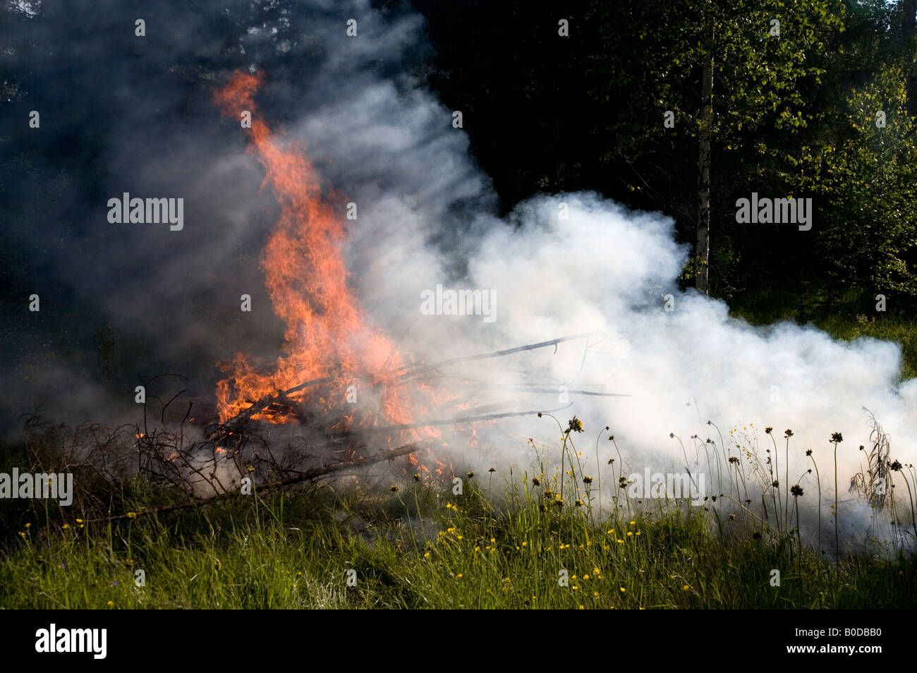 Smoking and burning fire , Finland Stock Photo - Alamy