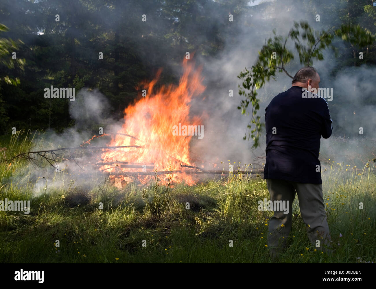 Finnish forest management hi-res stock photography and images - Alamy