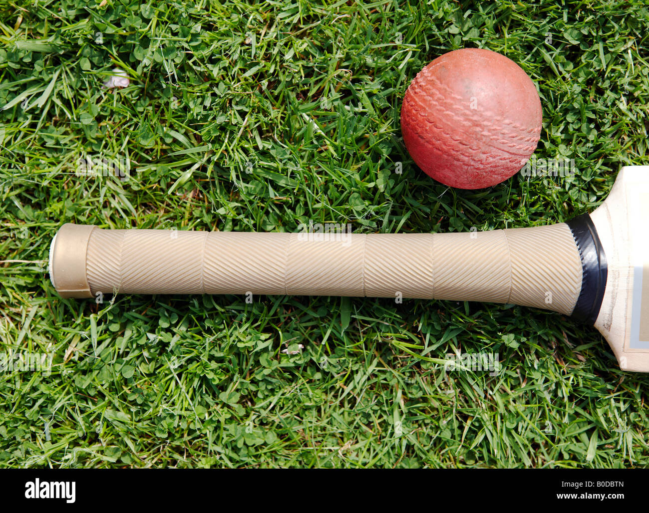 Cricket ball grass hi-res stock photography and images - Alamy