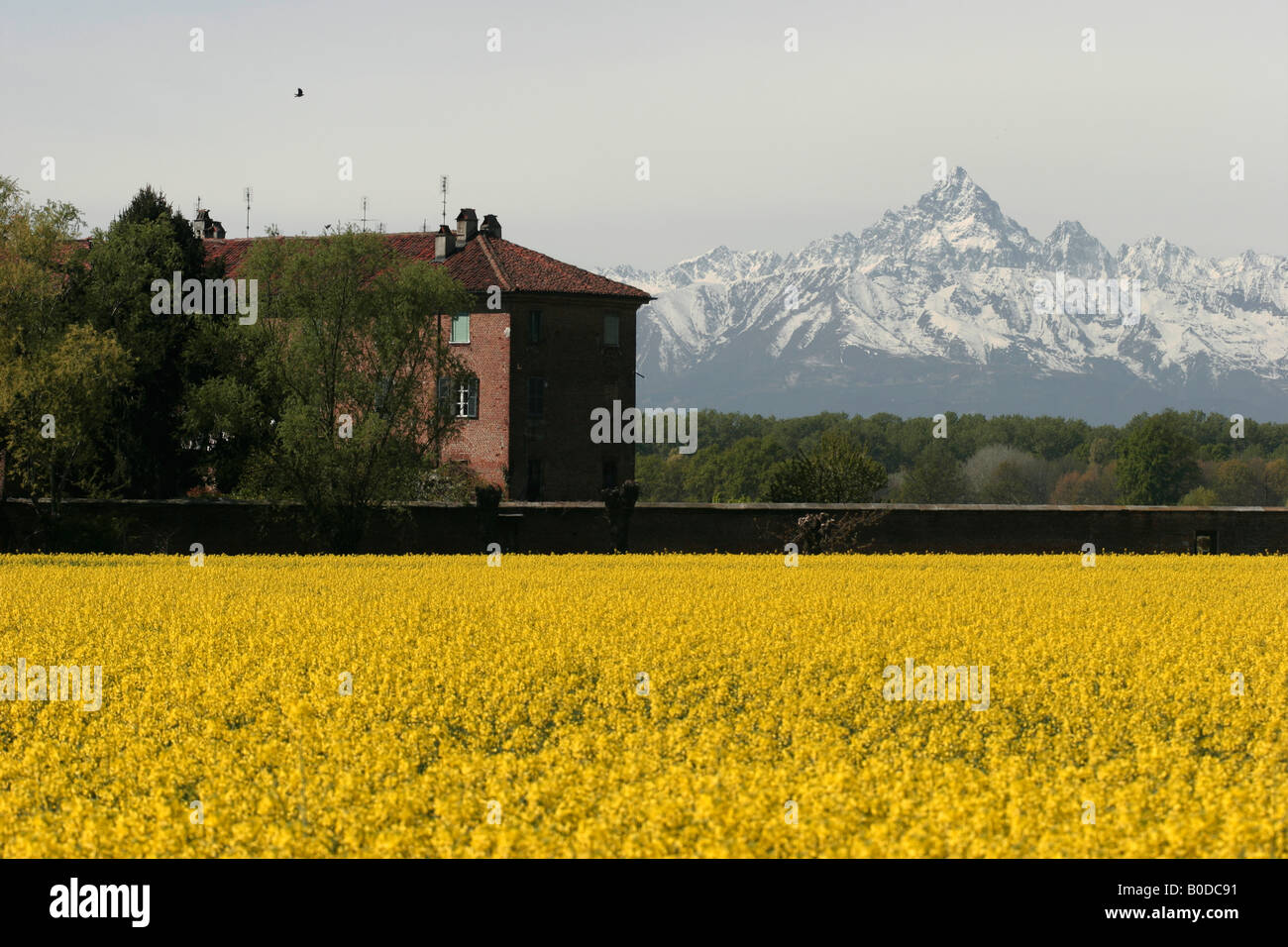 Monviso peak, Alps and the Turin countryside in Stupinigi Stock Photo ...