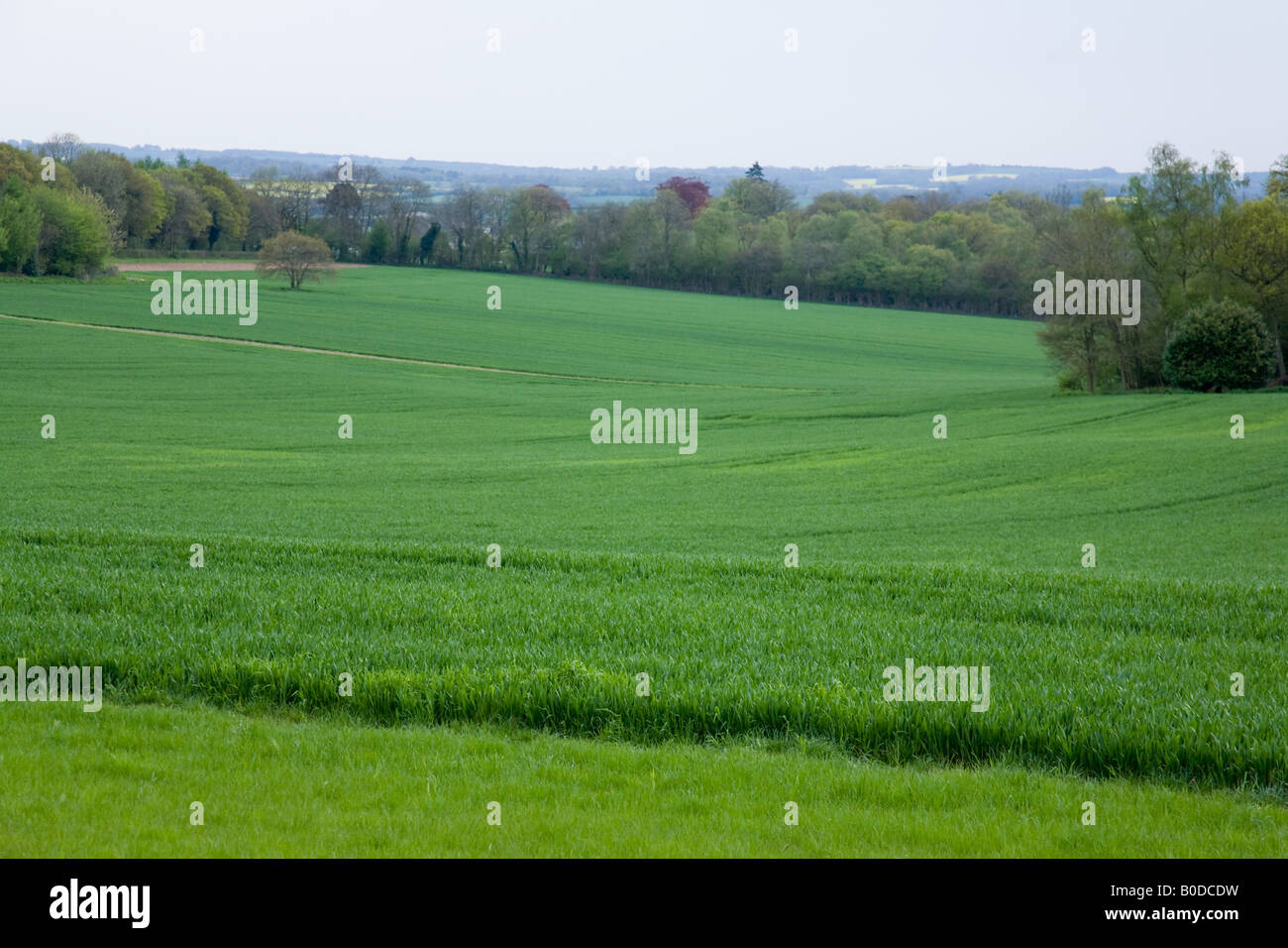 Farm fields, Hampshire,England Stock Photo - Alamy