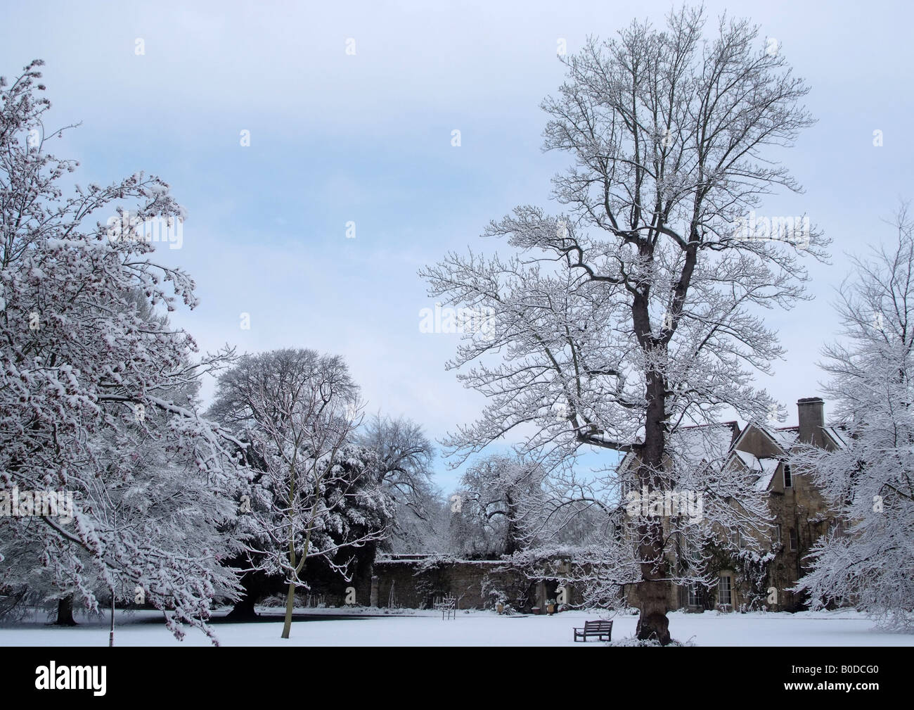 Snow covered trees in the grounds of Worcester College, Oxford, UK ...