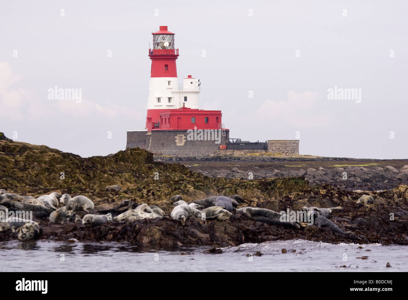 Longstone Lighthouse on Outer Farne, Farne Islands, Northumberland ...