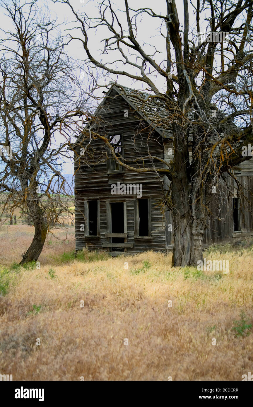 Old homestead oregon usa hi-res stock photography and images - Alamy