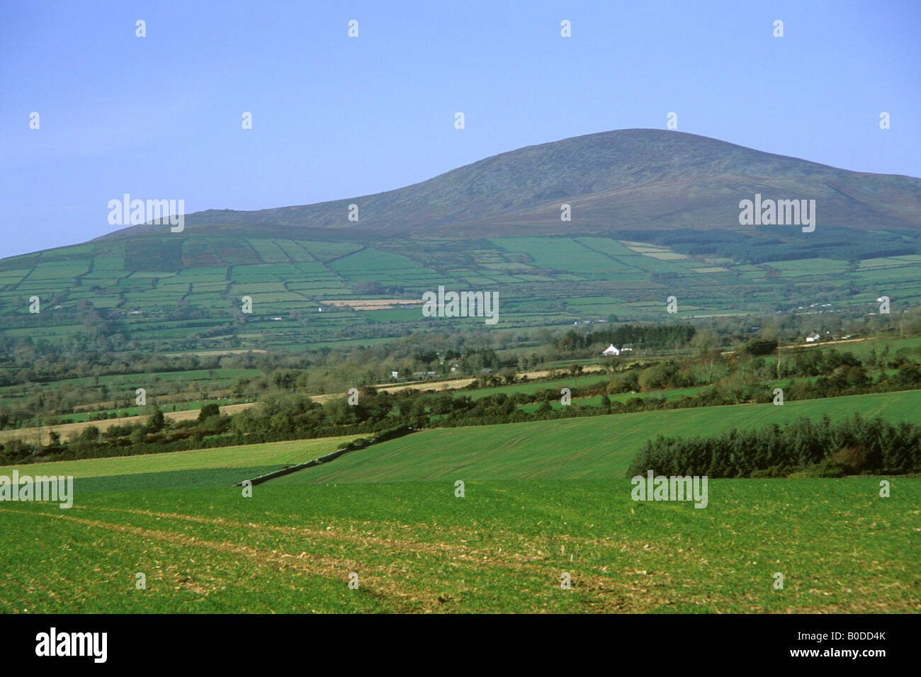 Brandon Hill, Kilkenny, Ireland Stock Photo - Alamy
