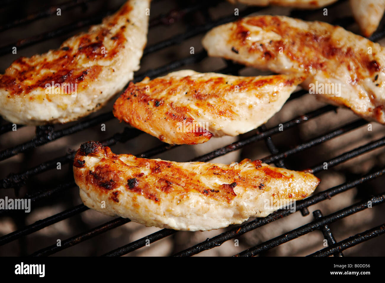 Barbeque grilled chicken fillets Stock Photo - Alamy