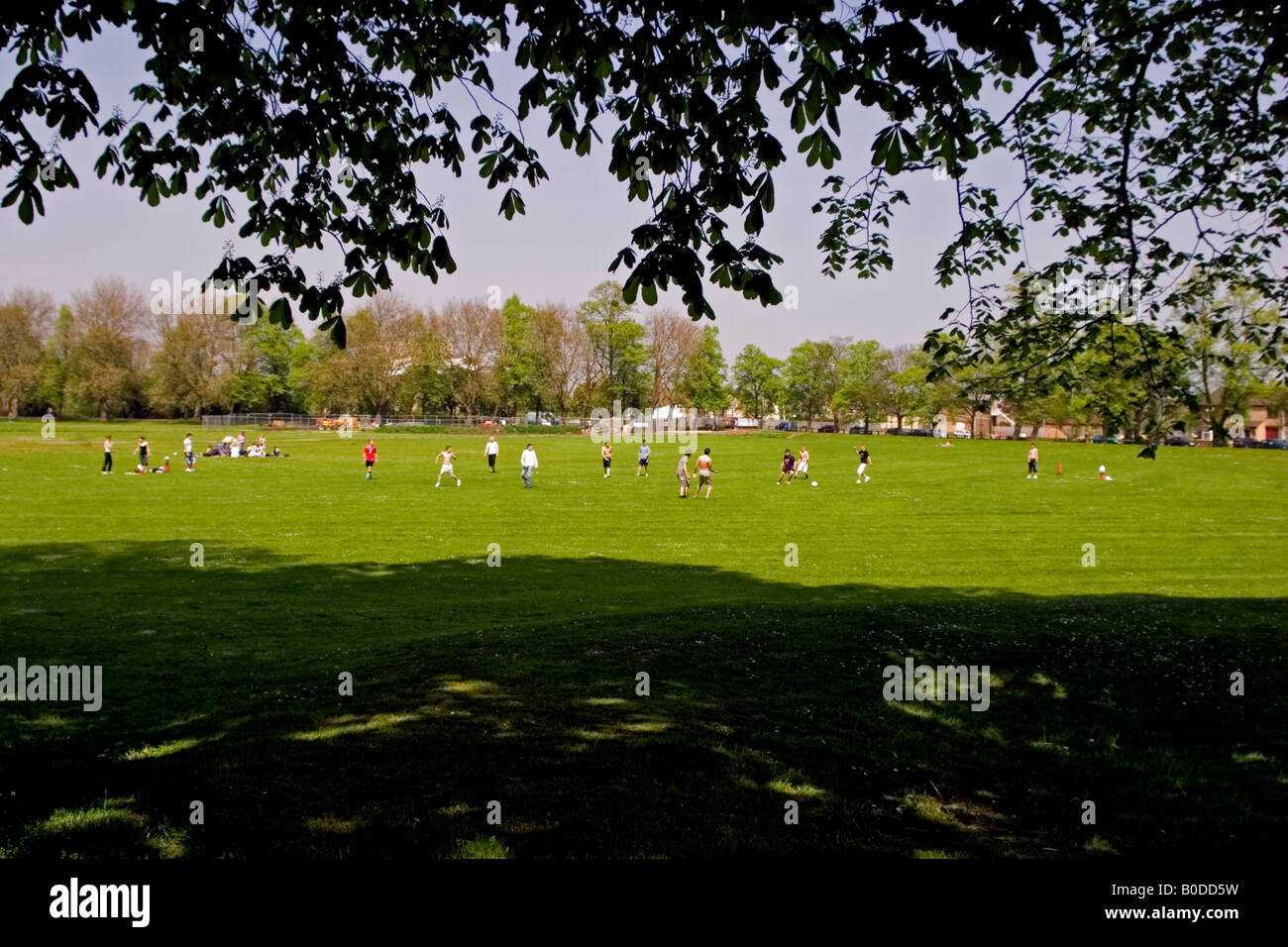 Kings lynn football the walks hi-res stock photography and images - Alamy