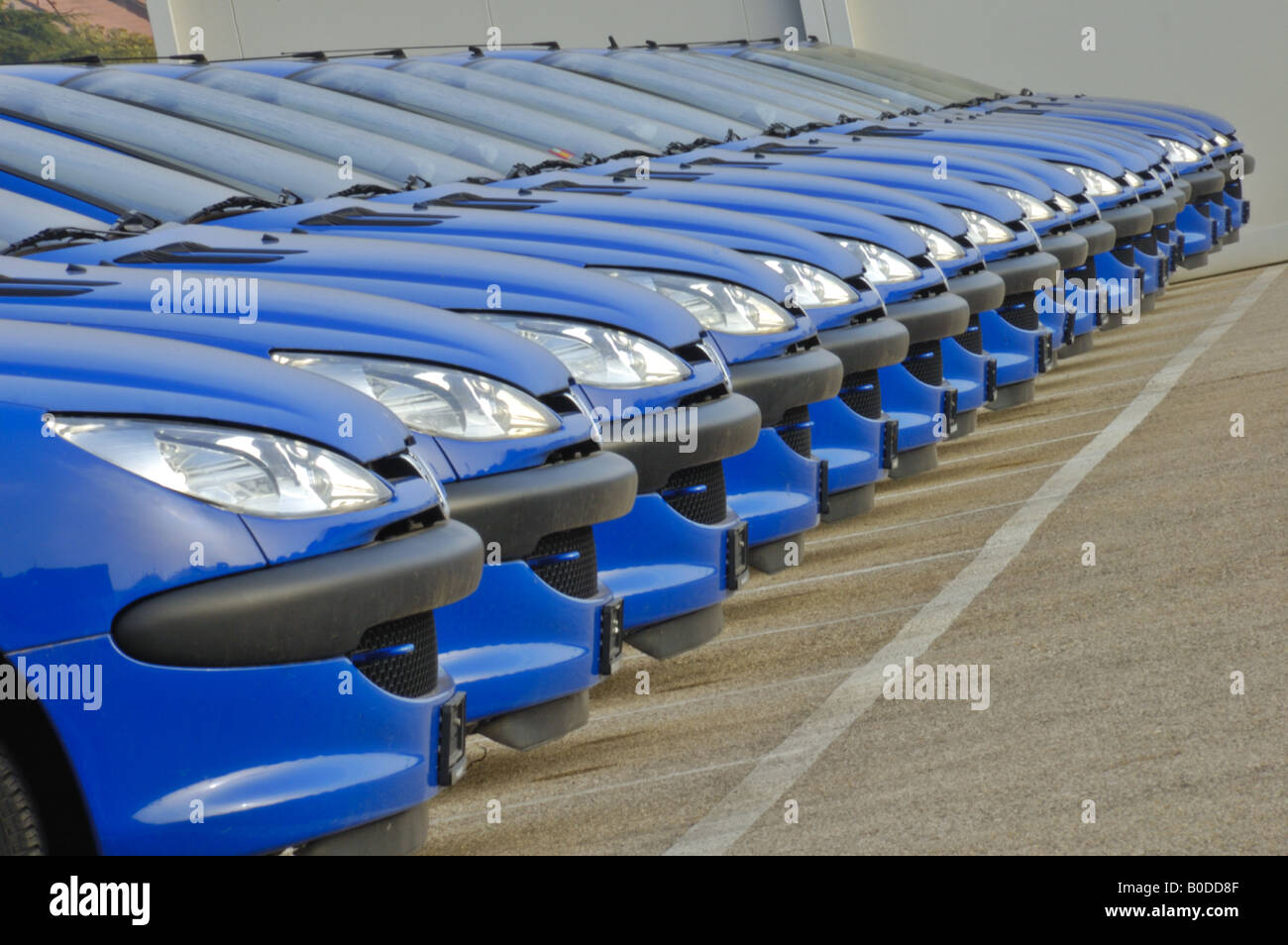 Row line duplicate hi-res stock photography and images - Alamy