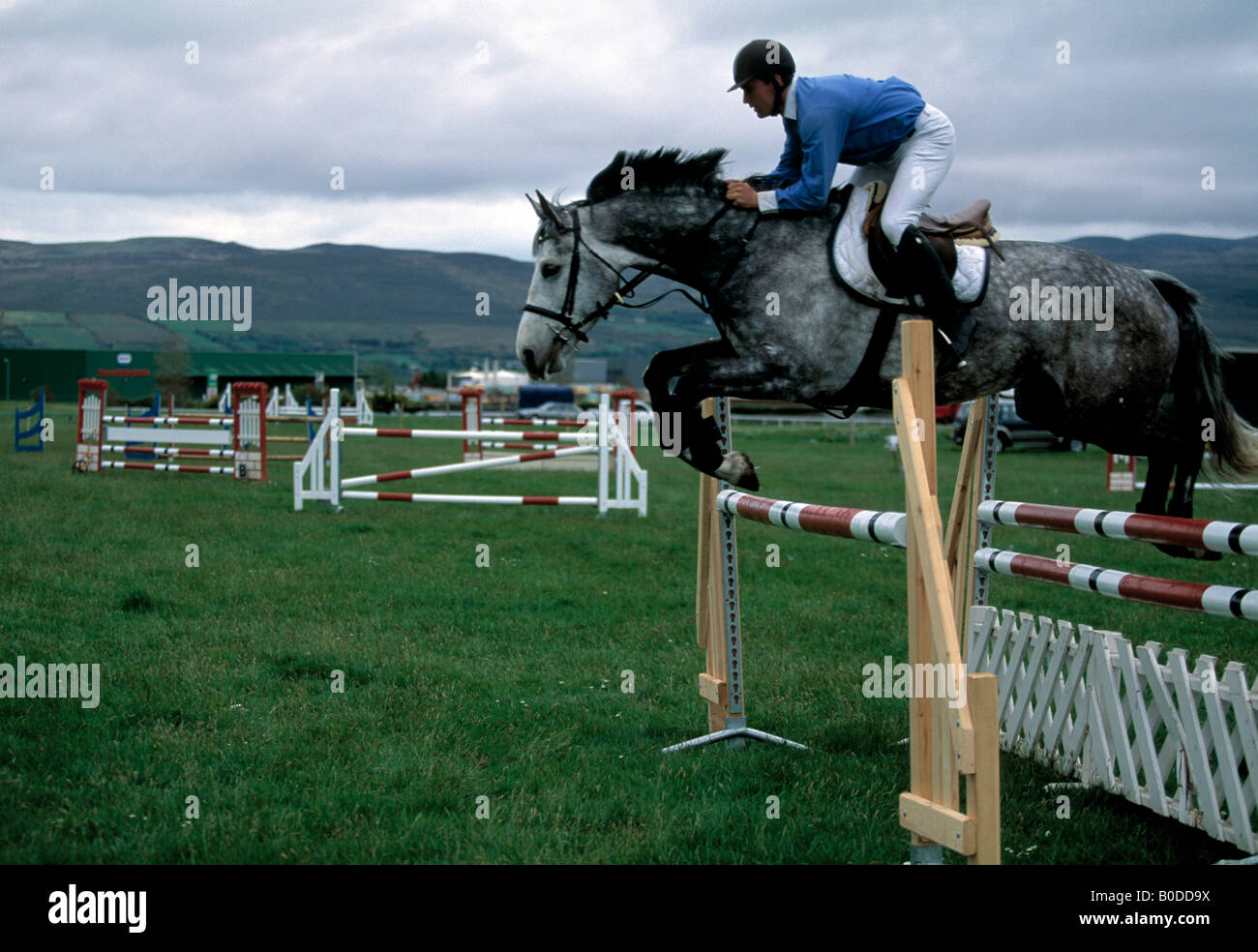 irish show jumping annual event Stock Photo - Alamy