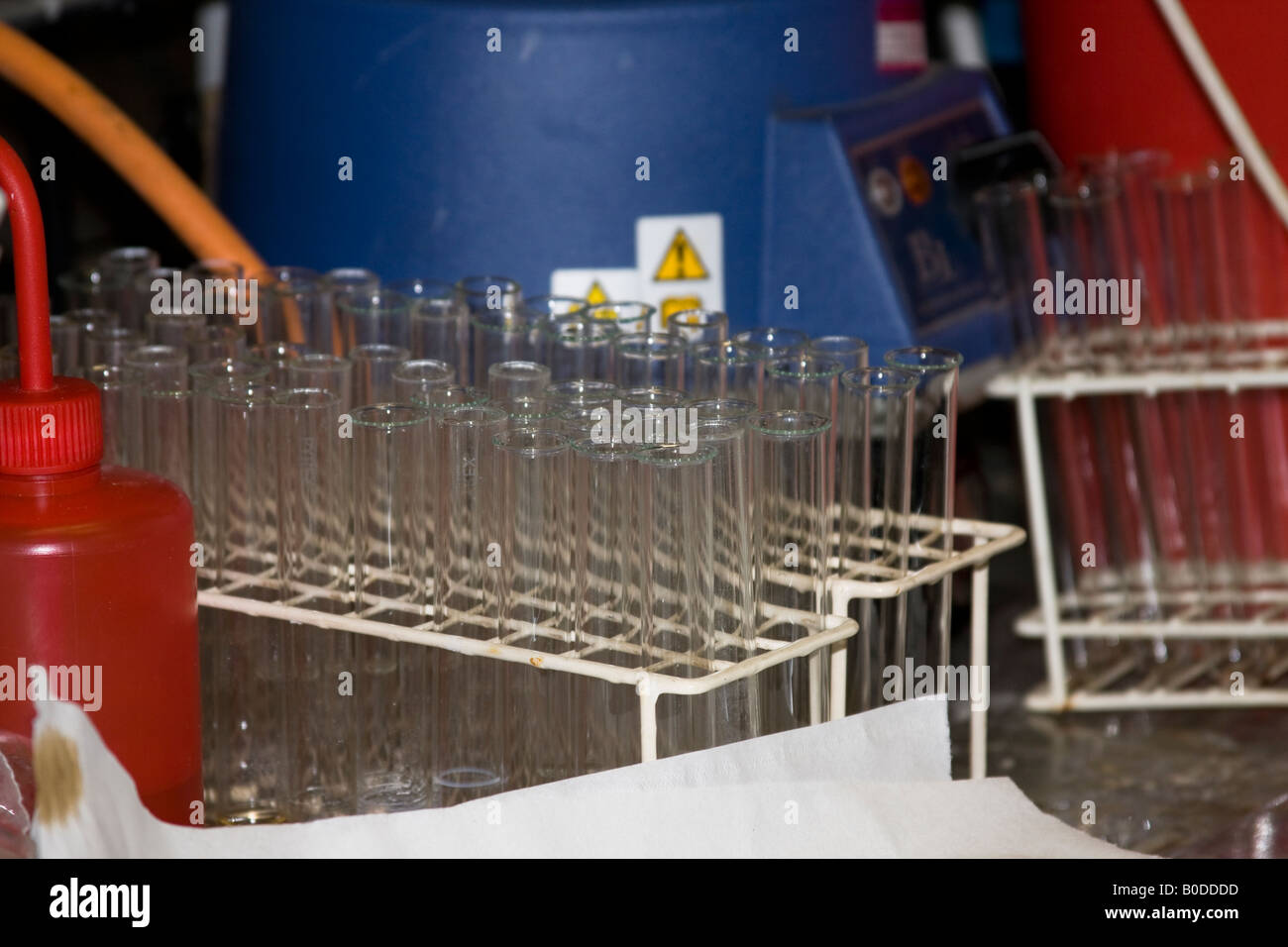Test tubes in a chemisty laboratory Stock Photo - Alamy