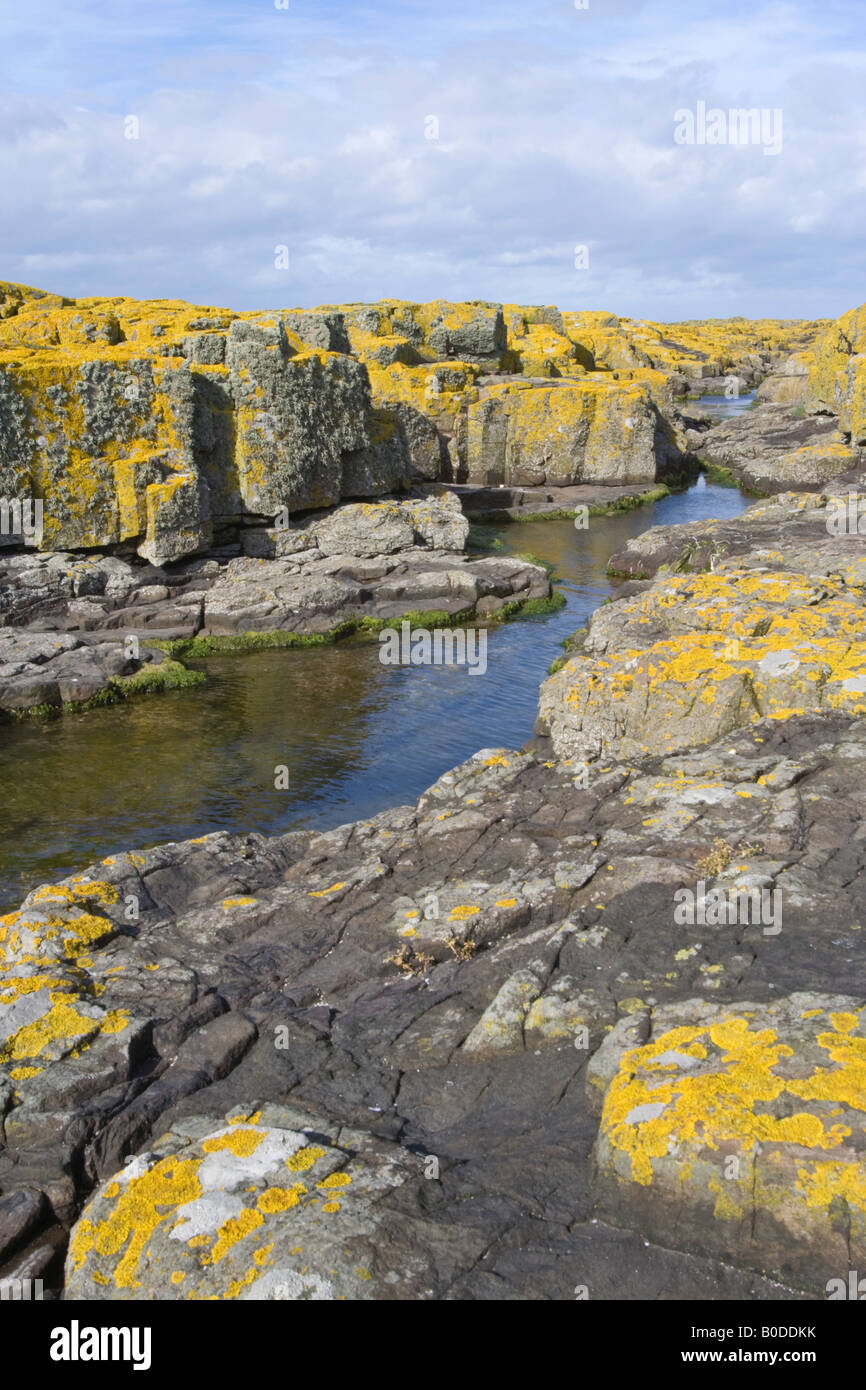 Rock pool northumberland north east hi-res stock photography and images ...