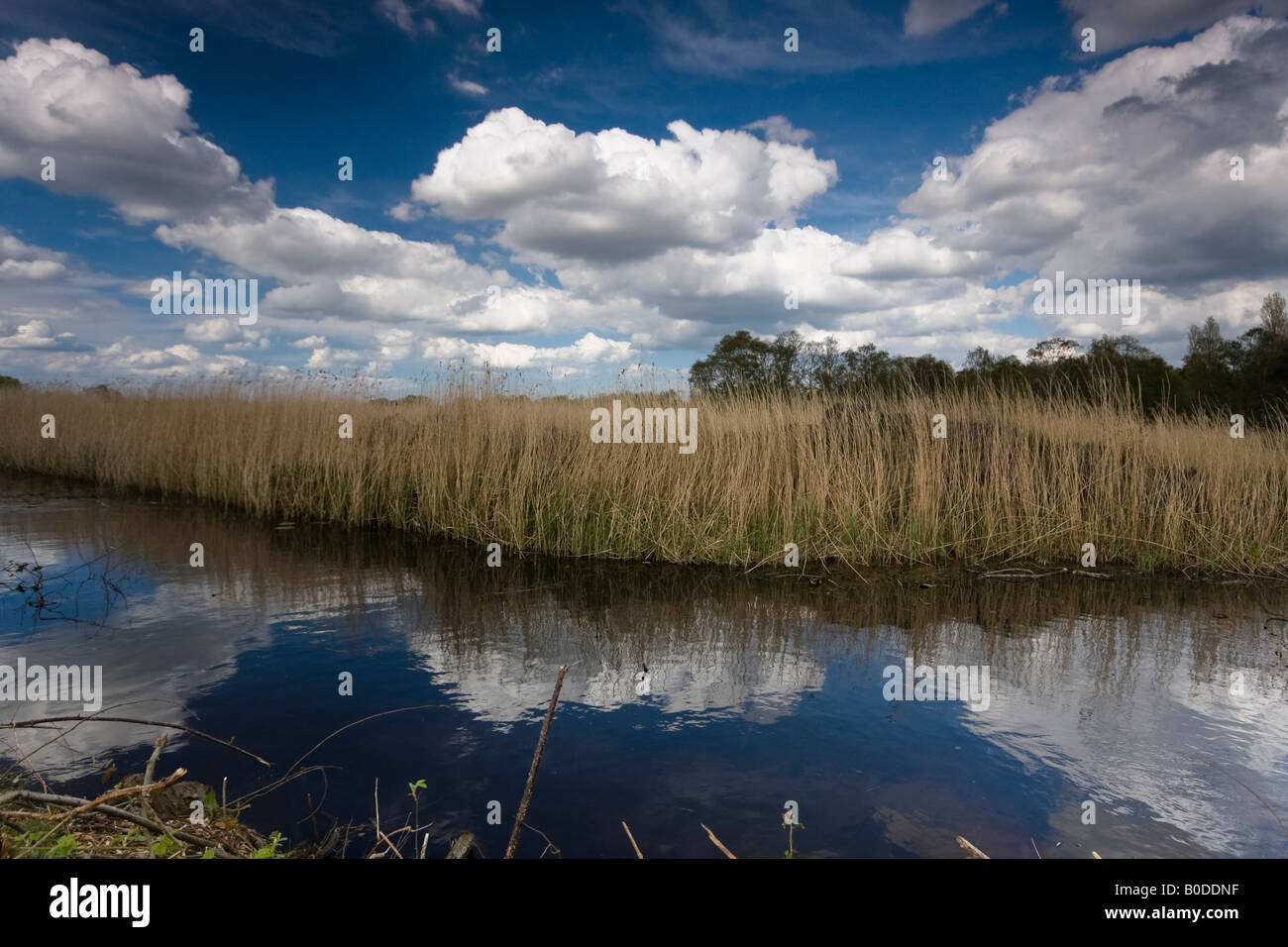 Dyke marsh hi-res stock photography and images - Alamy