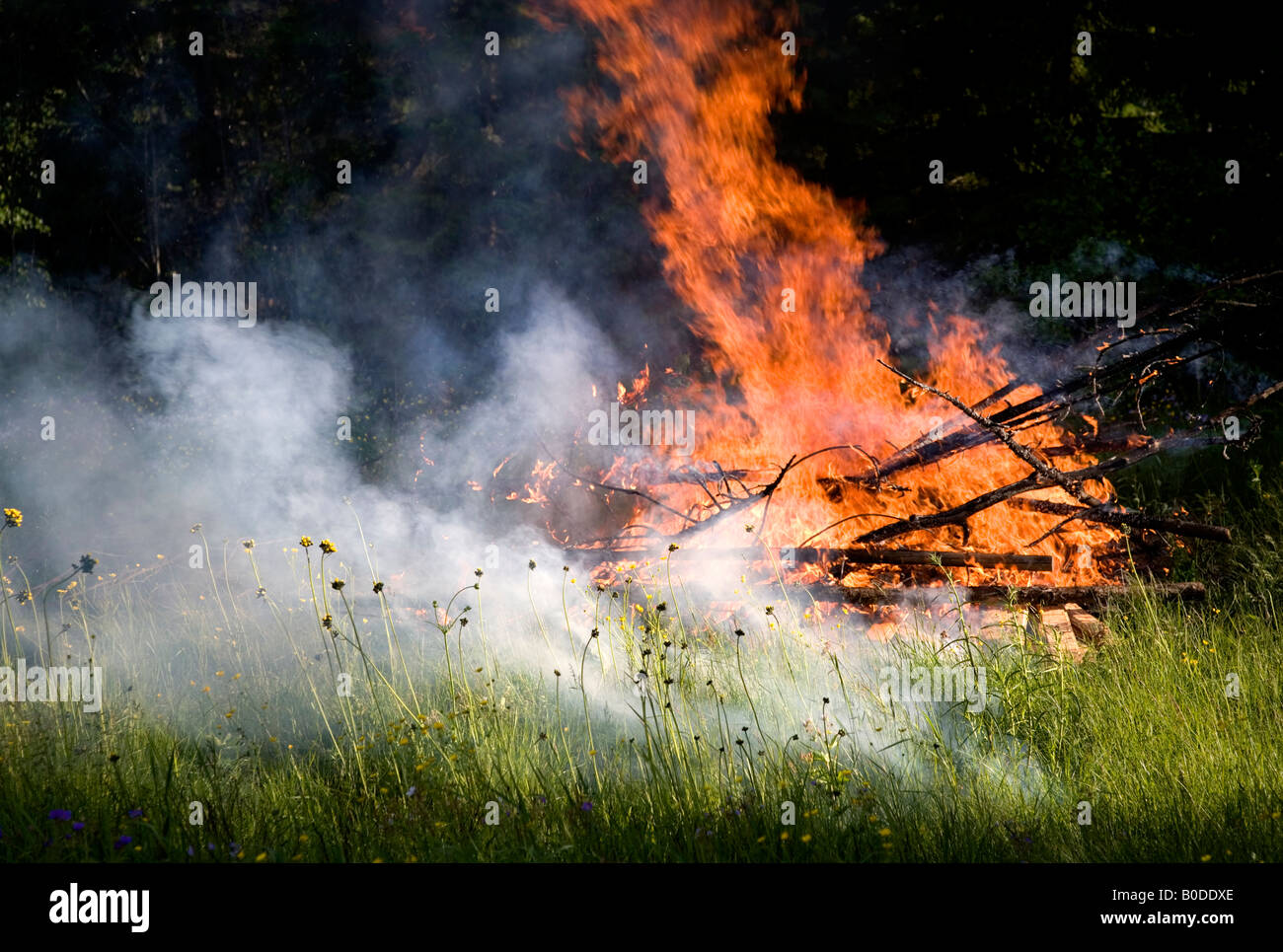 Burning fire and smoke outdoors , Finland Stock Photo - Alamy