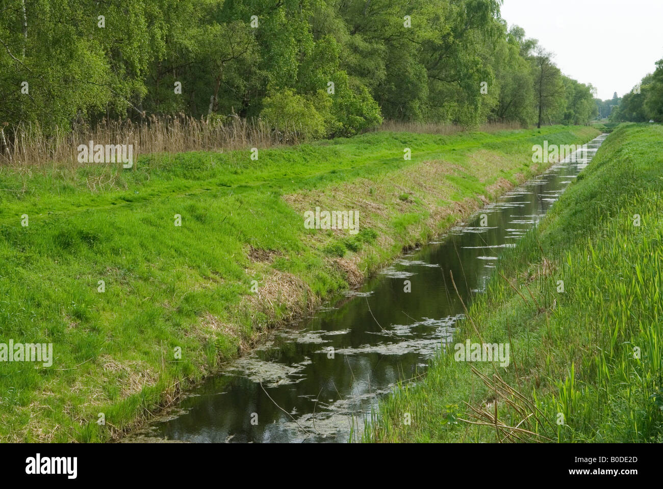 Holme Fen dyke drainage ditch Cambridgeshire Lowest point in Britain ...