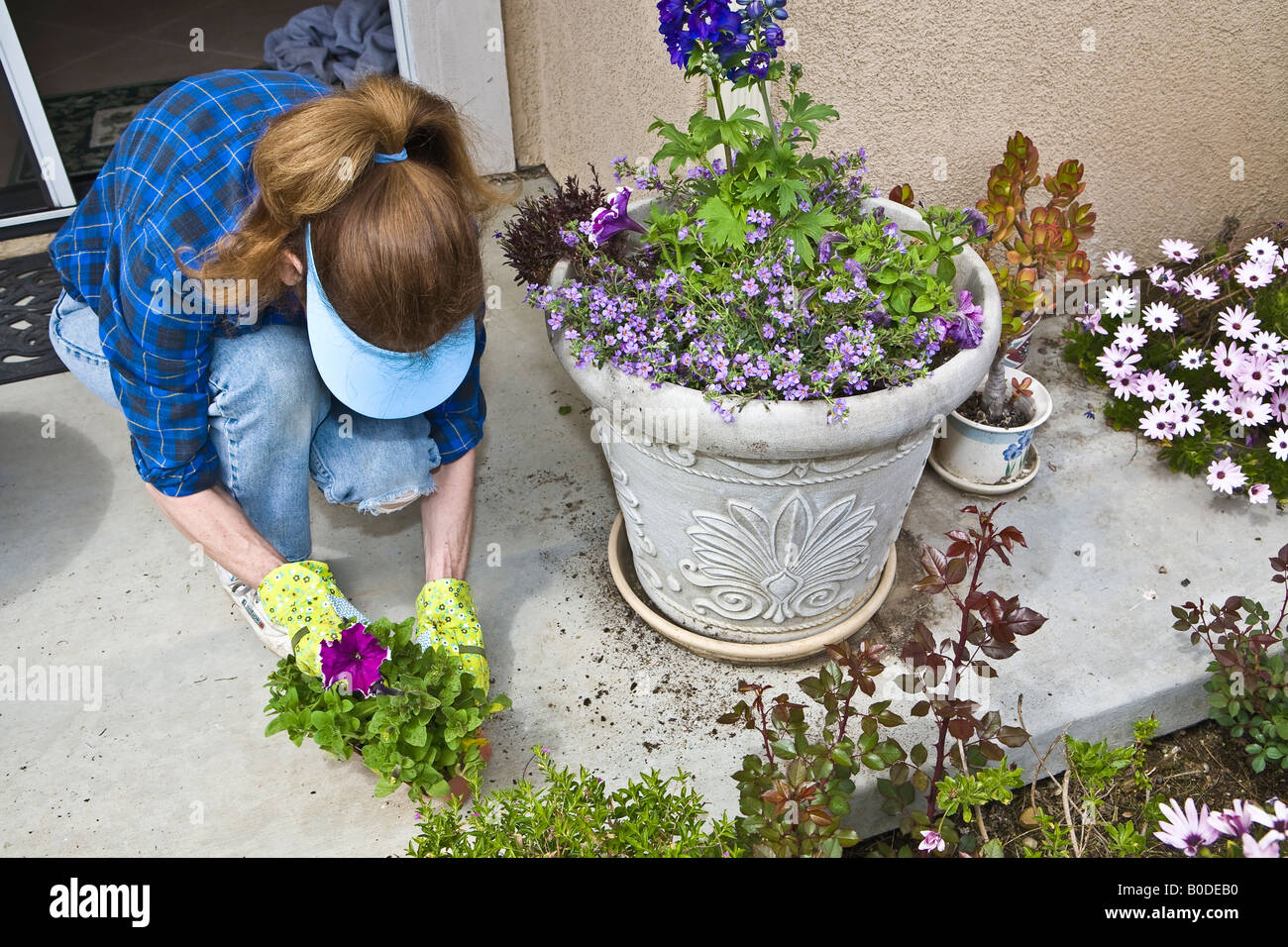 Flowers in large pot hi-res stock photography and images - Alamy