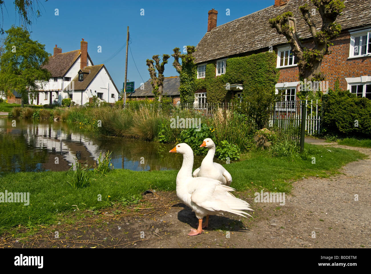 Childrey oxfordshire hi-res stock photography and images - Alamy