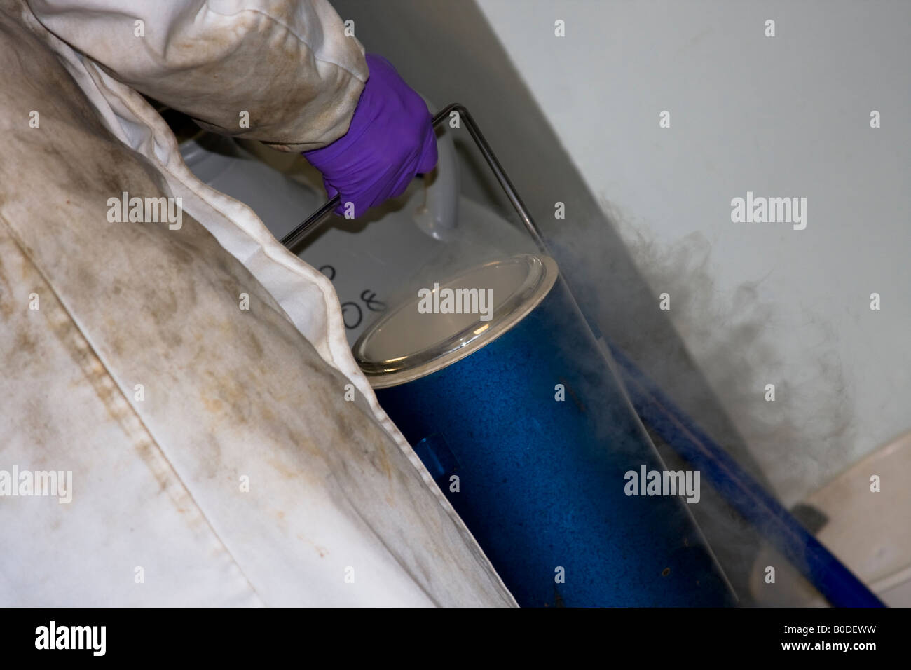 Pouring liquid nitrogen into a thermal flash for scientific experiments ...