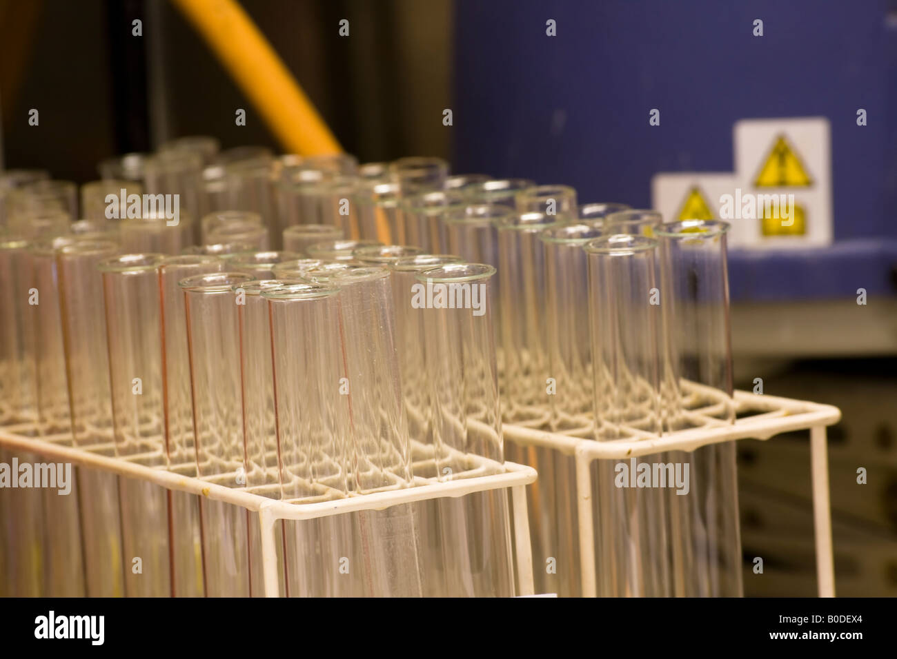 Test tubes in ordered rack Stock Photo - Alamy