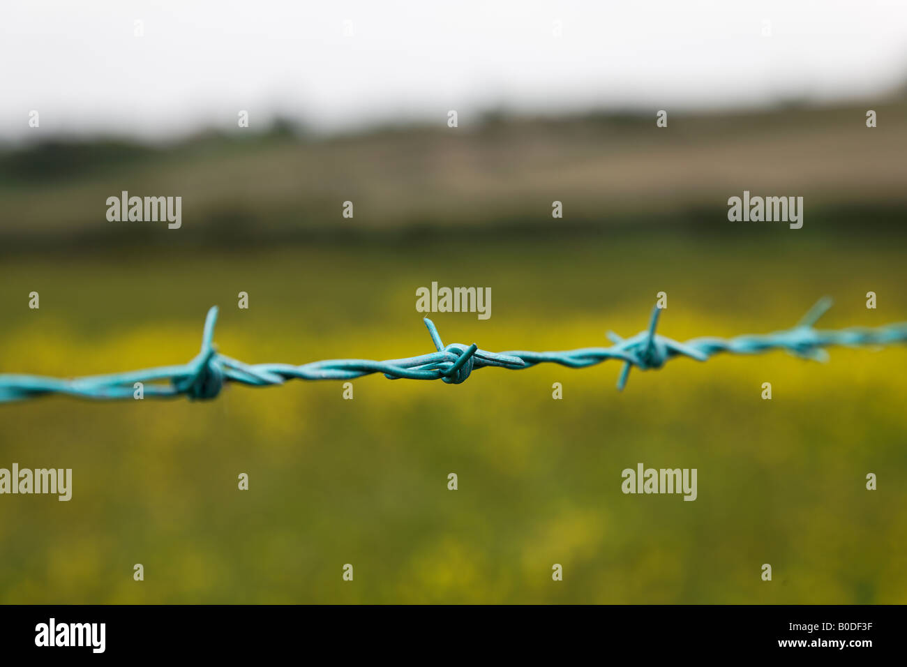 Barbedwires hi-res stock photography and images - Alamy
