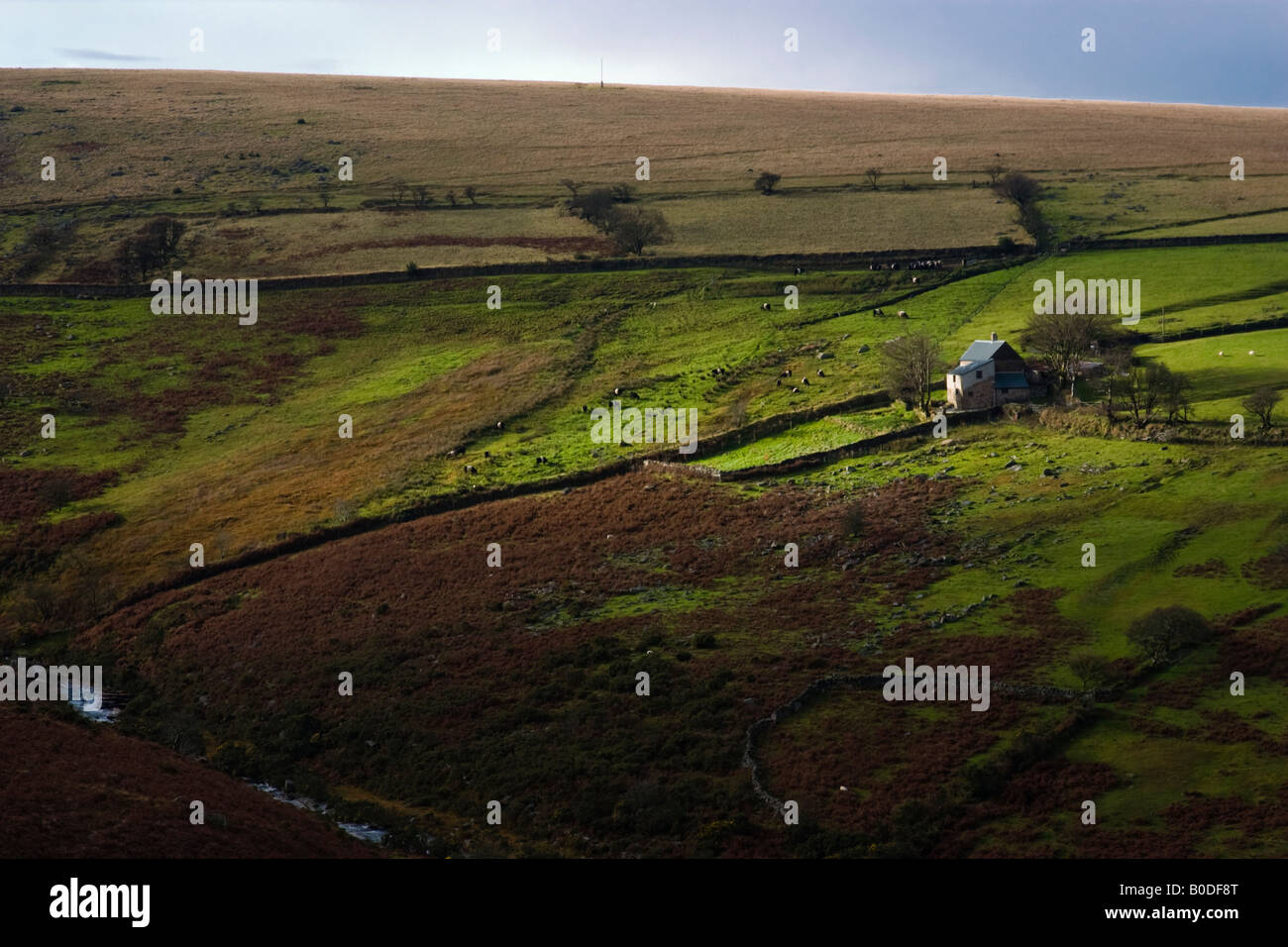 Lone house devon hi-res stock photography and images - Alamy